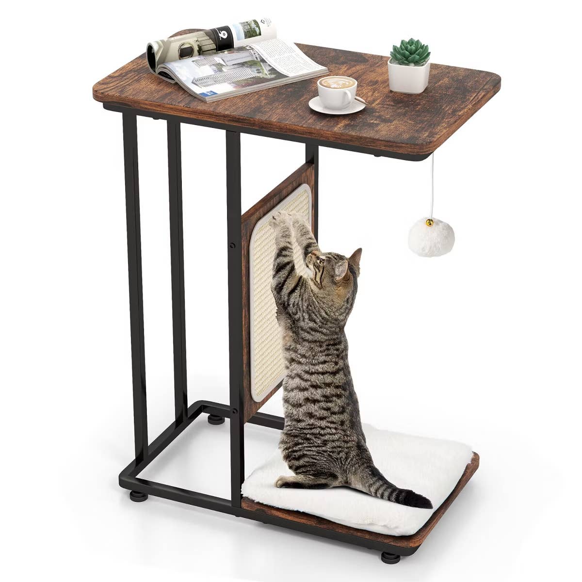 Target's Rustic Couch Table Is a Cat-Friendly Home Upgrade - Parade Pets