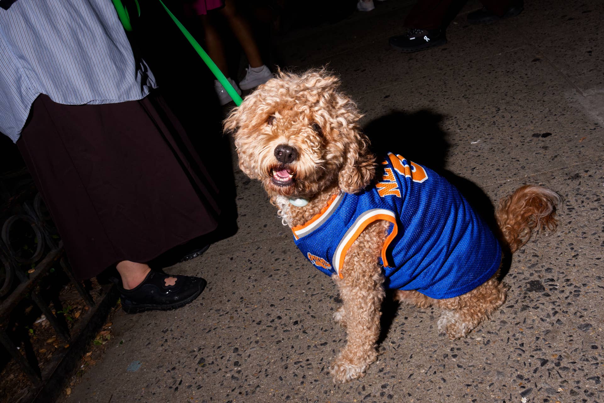 NYC Dogs Wear Knicks Jerseys to Celebrate Championship Victory - Parade ...
