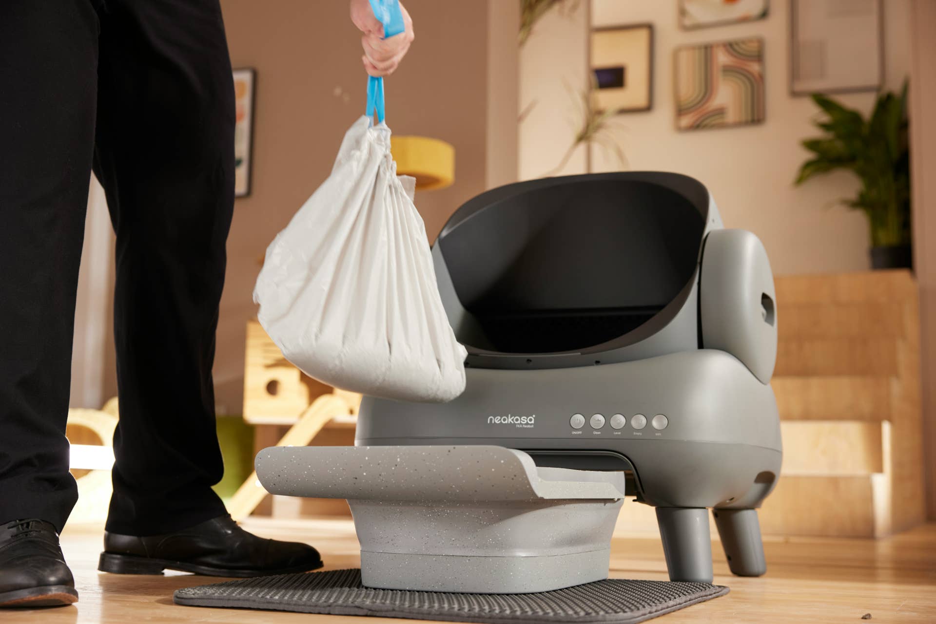 Why Your Cat Stopped Using the Litter Box—and How to Fix It - Parade Pets