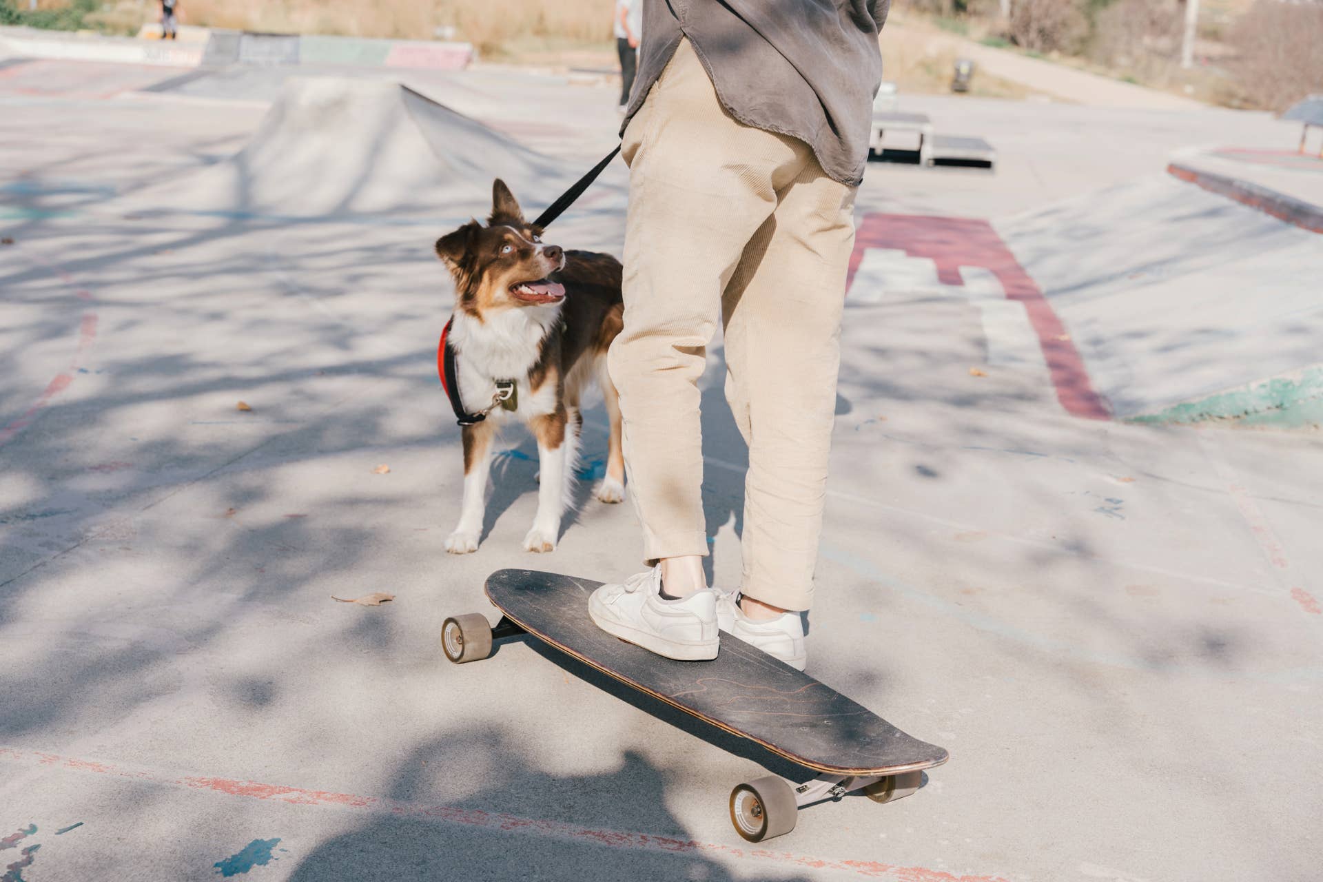 Skate Park Dog’s Freestyle Moves Are Winning Hearts Everywhere - Parade ...