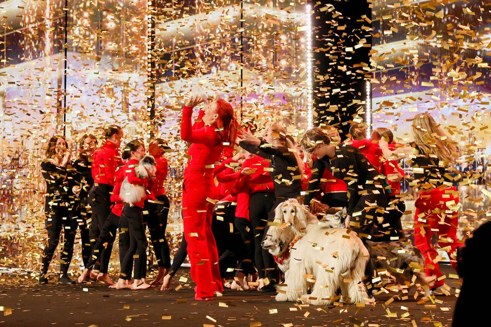 Watch the 'AGT' Golden Buzzer Dog Dance Act - Parade Pets