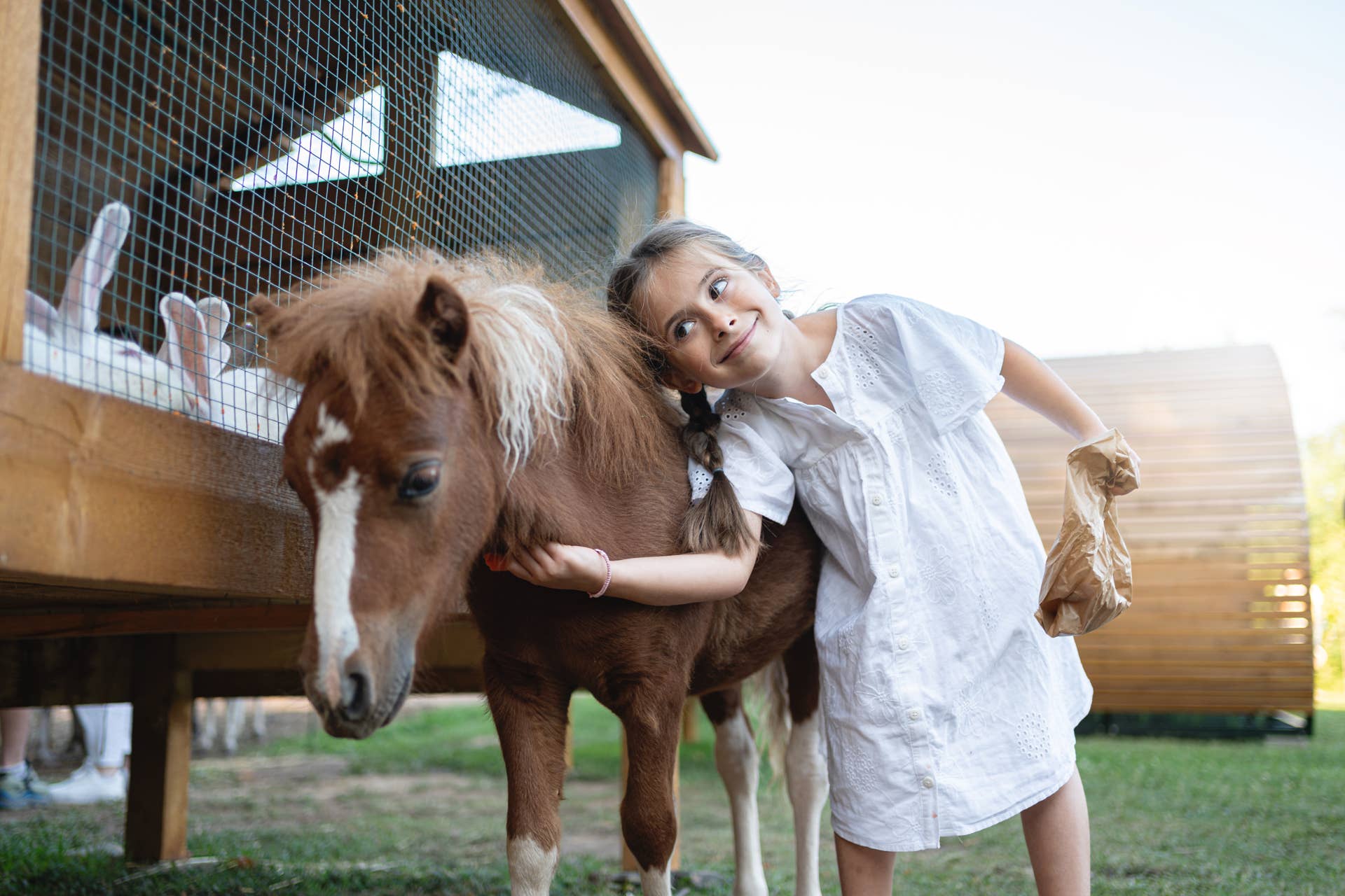 Horse Naps With His Human and His Dreamy Snore-Fest Is the Sweetest ...