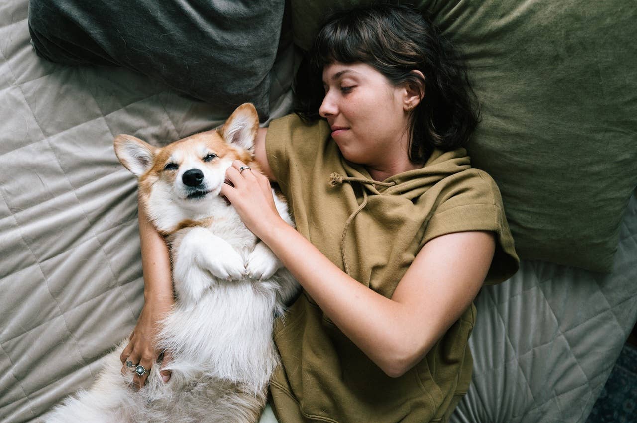 If Your Dog Sleeps Like This, It’s a Sign They Feel Safe - Parade Pets