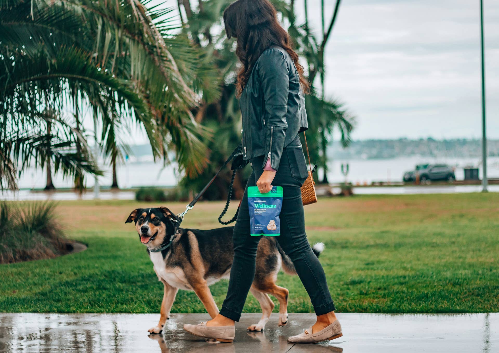 The 'U-Turn' Method May Stop Your Dog From Pulling on a Leash - Parade Pets