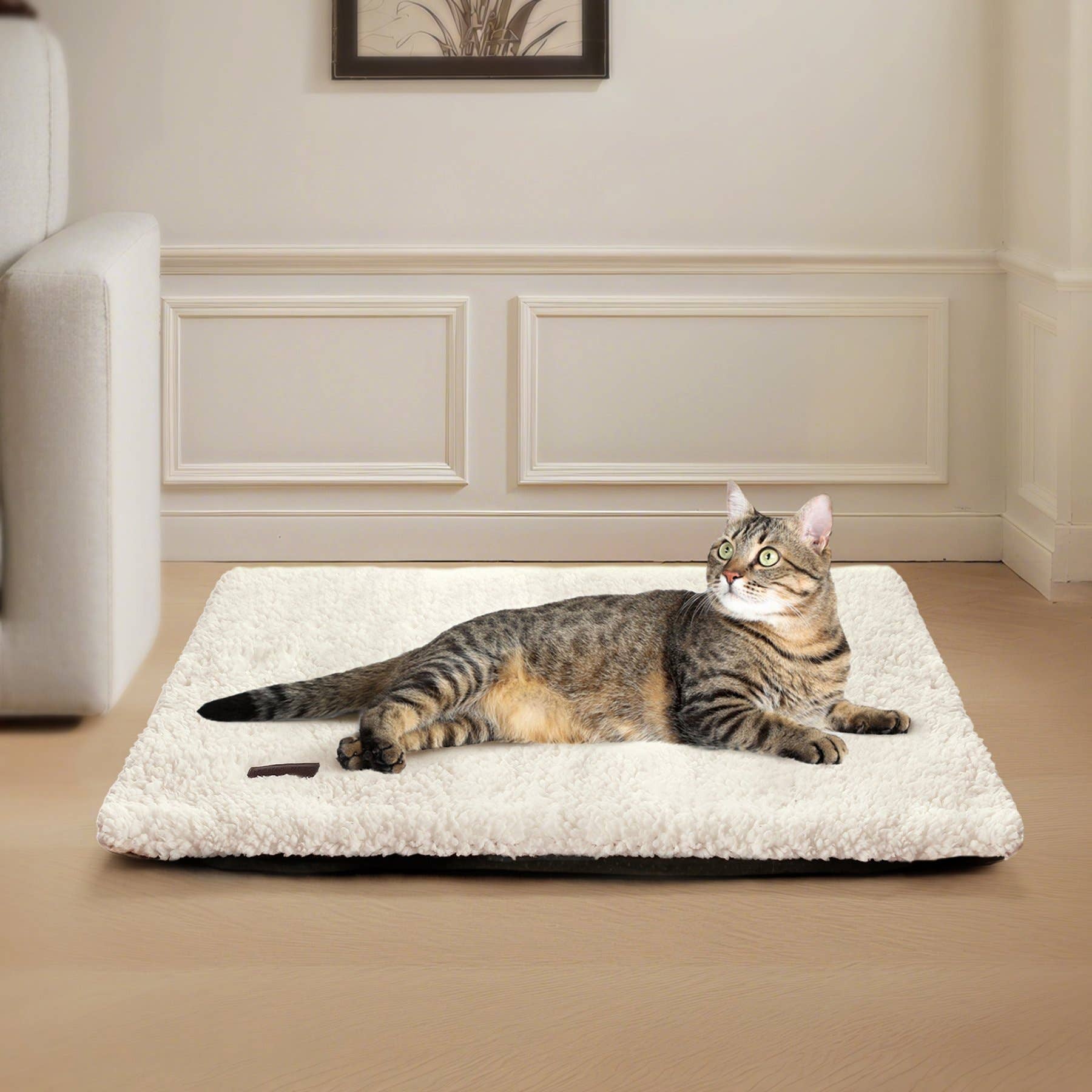 8 Best Self-Warming Cat Beds to Keep Your Feline Friend Cozy - Parade Pets