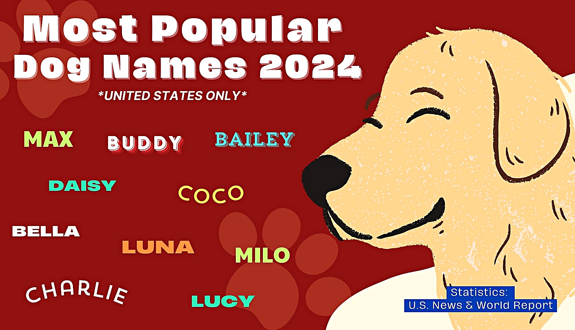 Do Dogs Remember Their Old Names