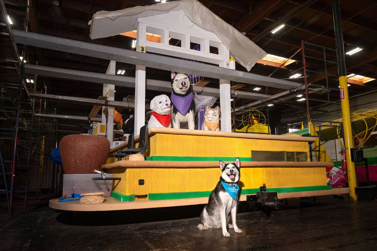 Dog Rose Parade Float Pinterest | Animal Rescue Ideas, Animal Floats,