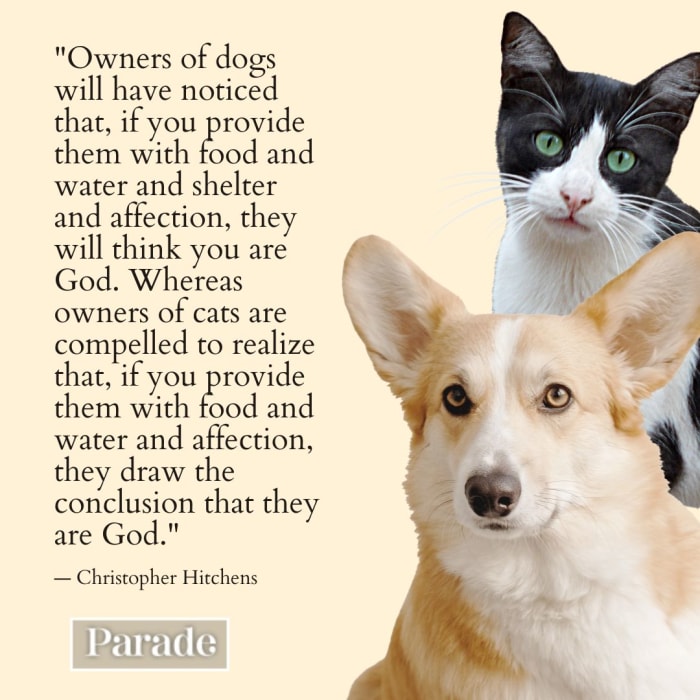 300+ Best Pet Quotes To Share Your Love - Parade Pets