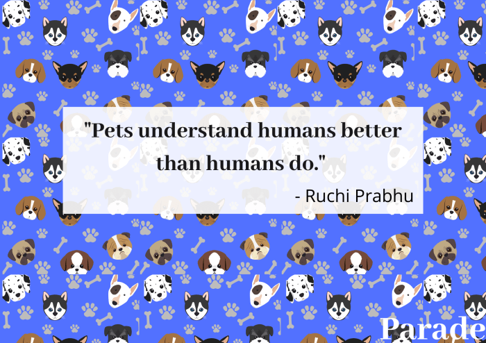 300+ Best Pet Quotes To Share Your Love - Parade Pets