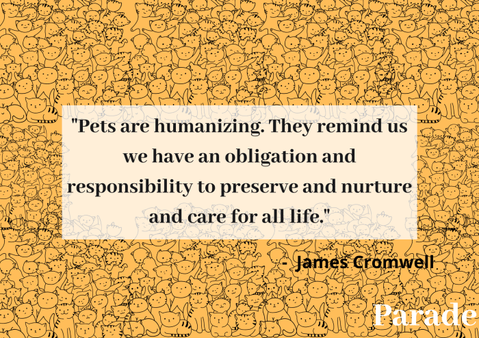 300+ Best Pet Quotes To Share Your Love - Parade Pets