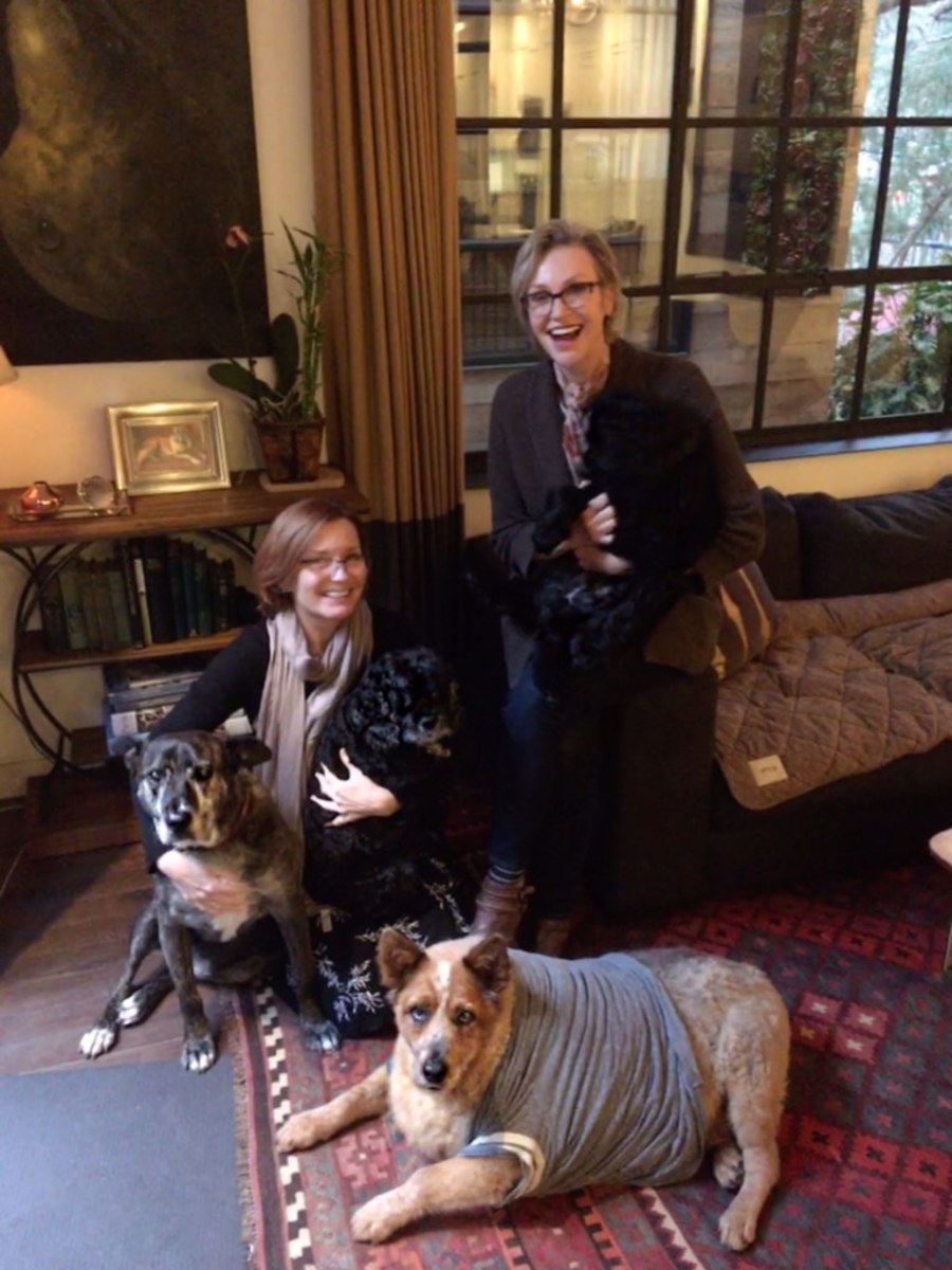 'There's No Reason to Go to a Puppy Mill': Jane Lynch Talks Rescue Pets ...