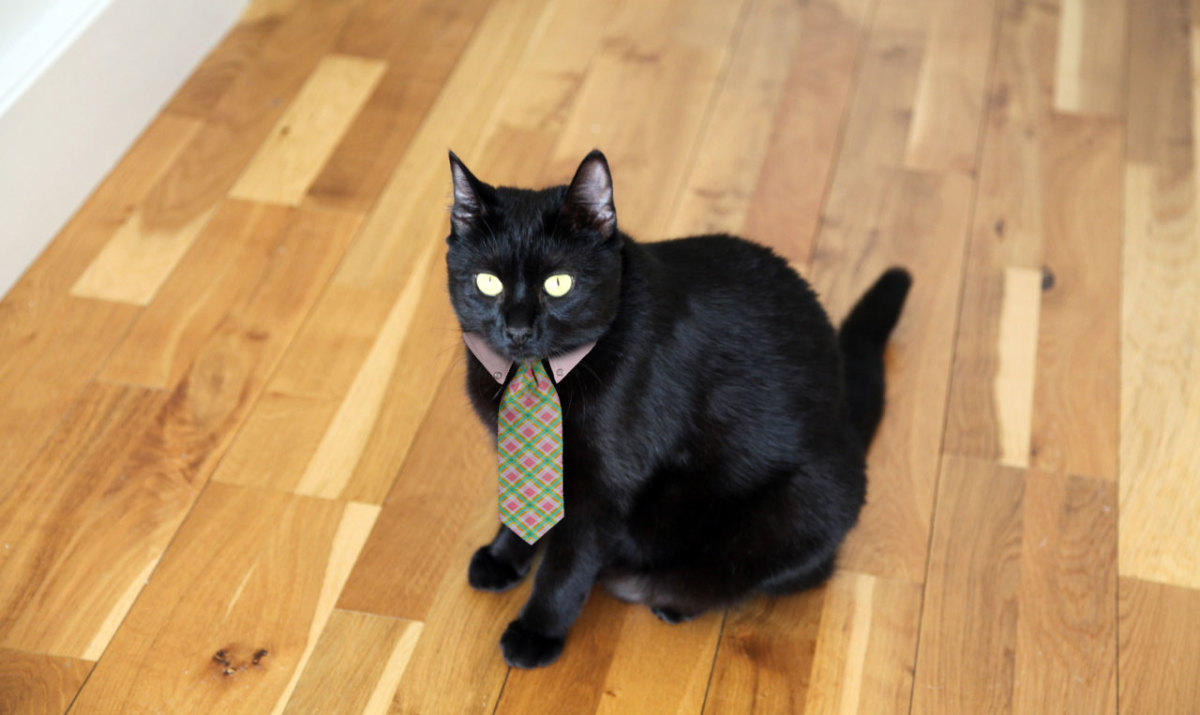 Reddit Founder Alexis Ohanian: Why the Internet Loves Pets, and Why ...