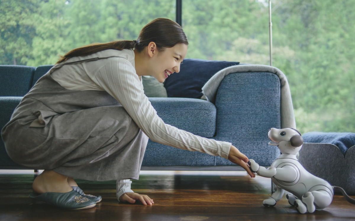 Check Out Sony's Adorable Robot Dog - Parade Pets