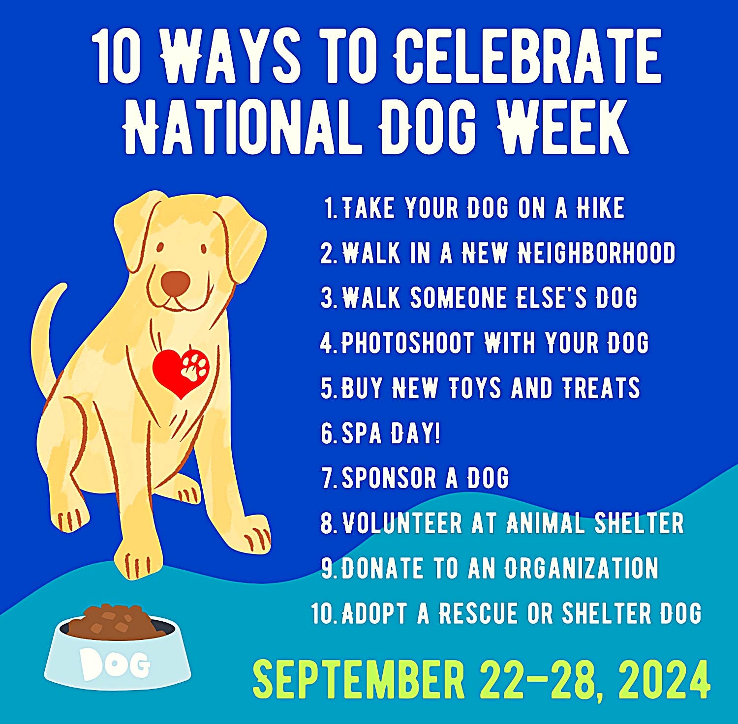 National Dog Week 2024: History, Fun Ways to Celebrate - Parade Pets