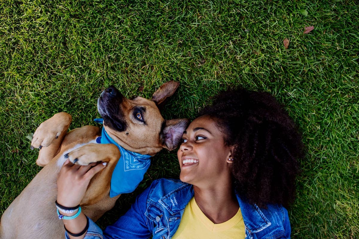 5 Telltale Signs Your Dog Truly Loves You - Parade Pets