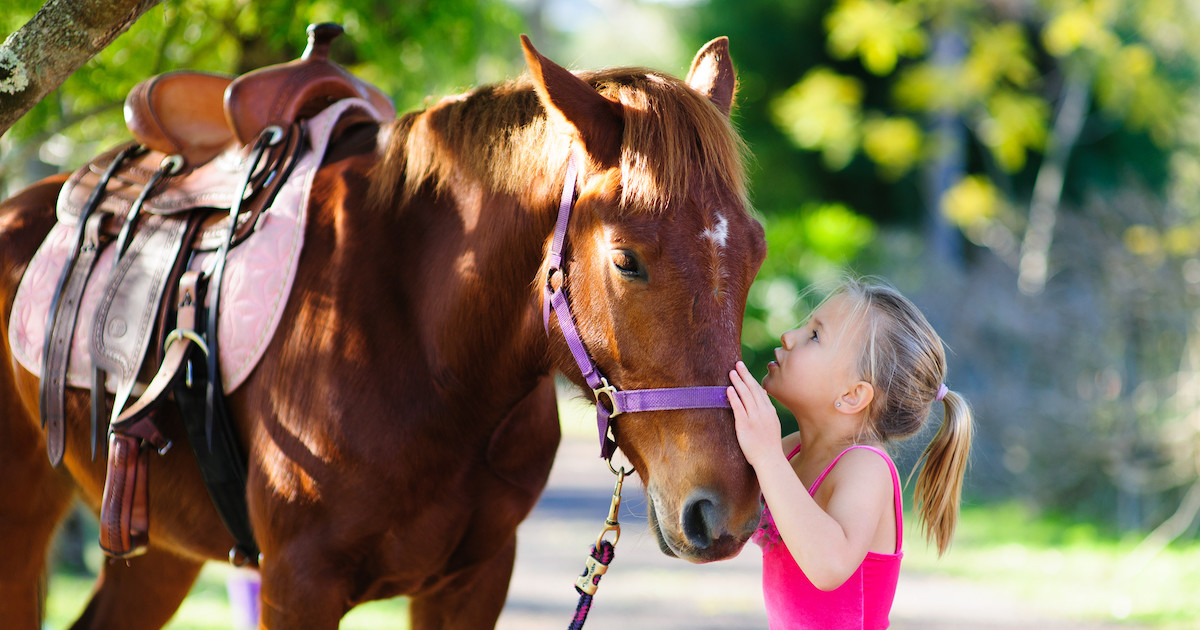 Proud Toddler Feeding Horses Is Giving Us All the Feels - Parade Pets