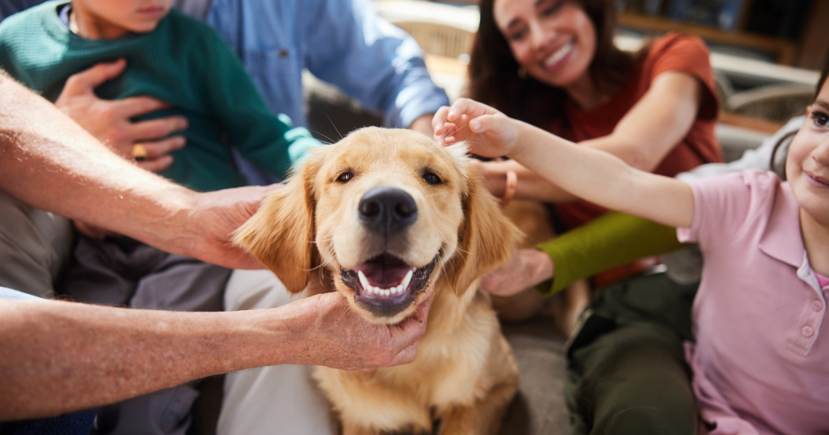 7 Happiest Dog Breeds, According to Pet Experts - Parade Pets