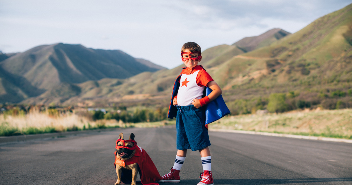 7 Best Sidekick Dog Breeds (Characteristics & Care) - Parade Pets