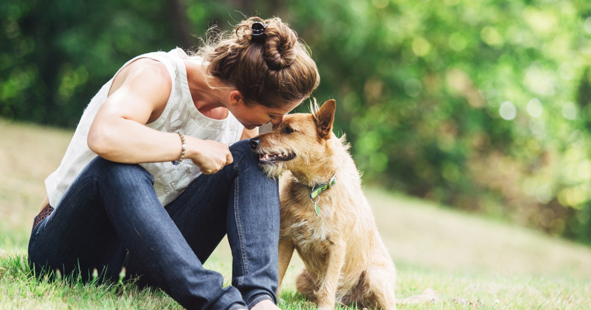 7 Signs Your Dog Is Devoted to You, Experts Say - Parade Pets