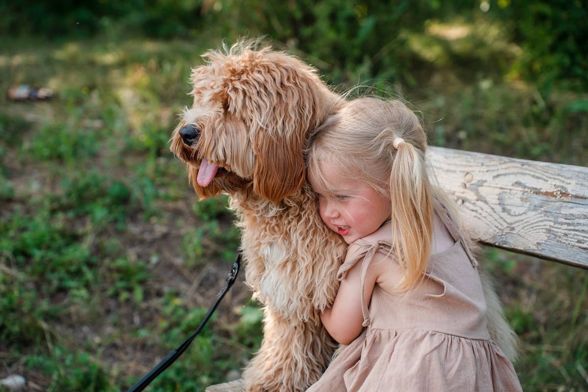 Playful Doodle ‘Gives His All’ To Make Baby Sister Giggle - Parade Pets