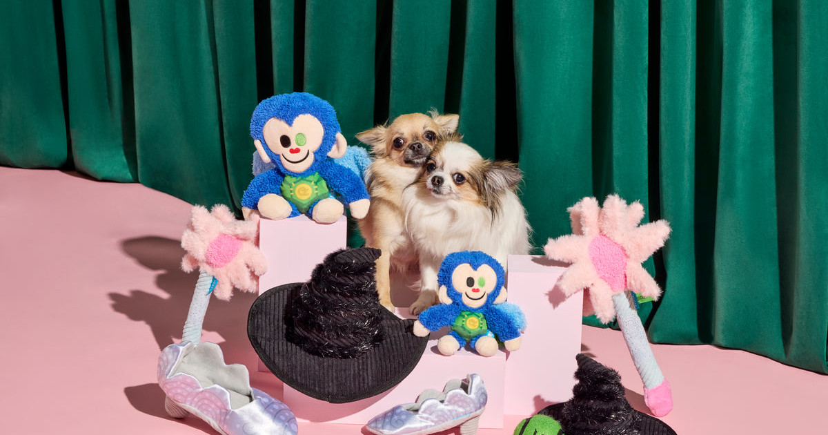 Bark Box Launches Wicked Theme Complete With a Flying Monkey - Parade Pets