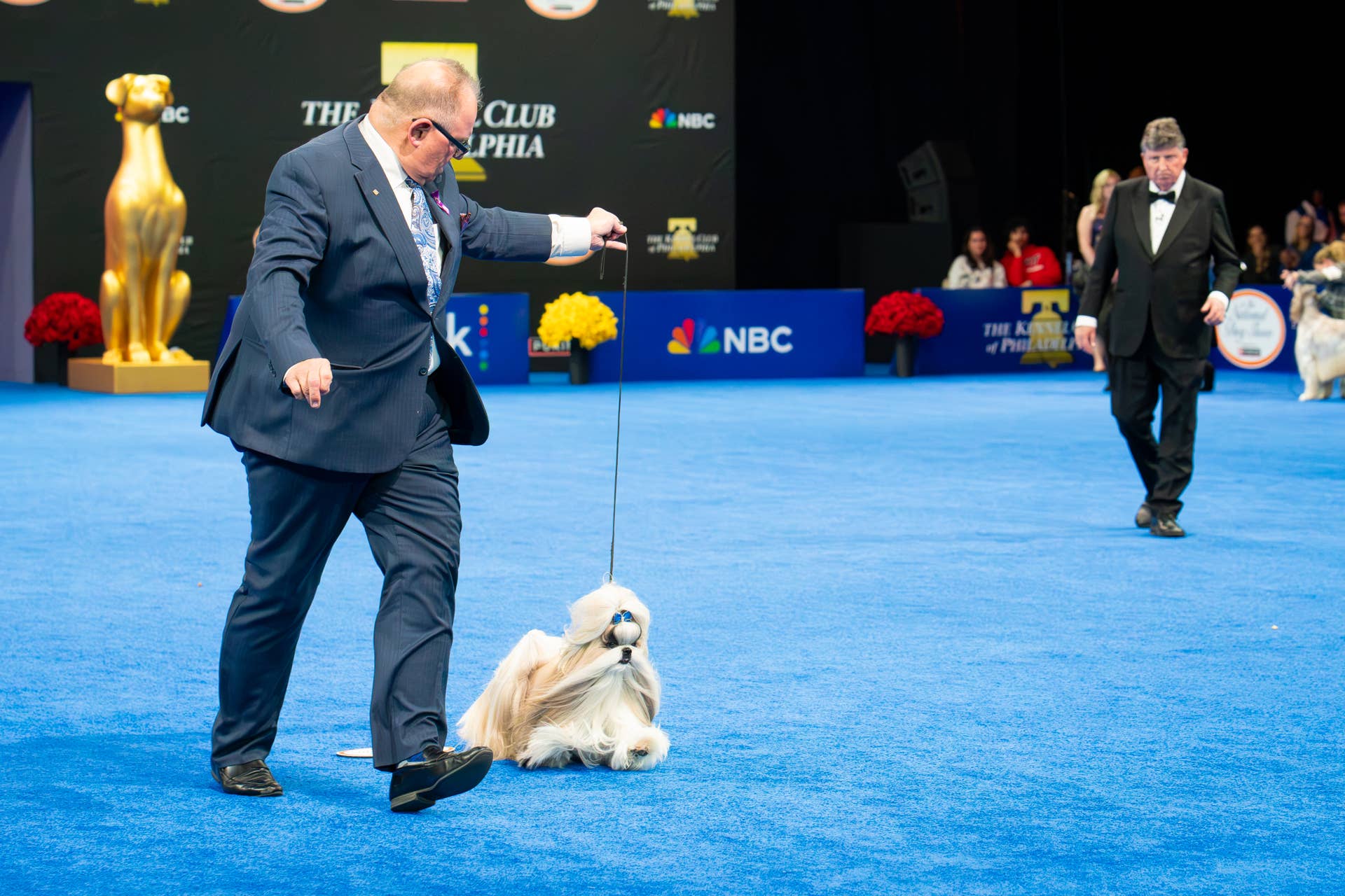The National Dog Show 2025: Behind the Tail-Wagging Scenes - Parade Pets