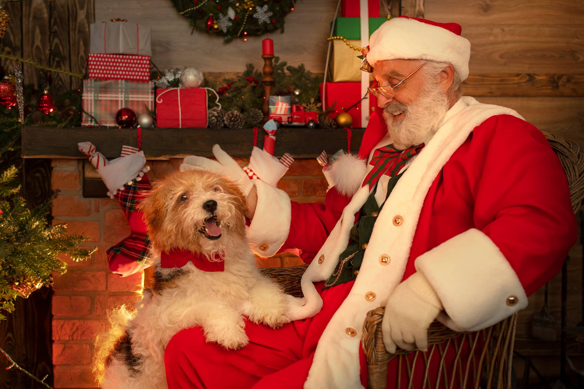 Here's How to Book a Free Pet Photo With Santa at PetsMart - Parade Pets