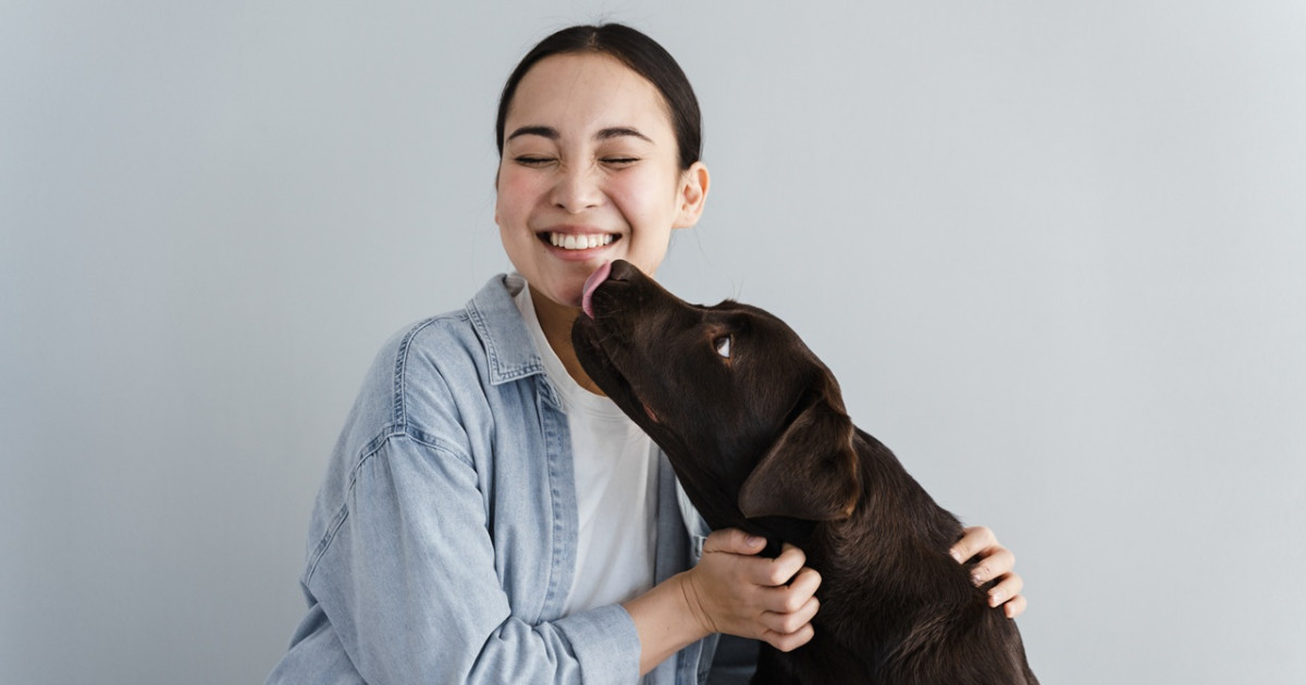 10 Weird Ways Dogs Say “I Love You,” According to Trainers - Parade Pets