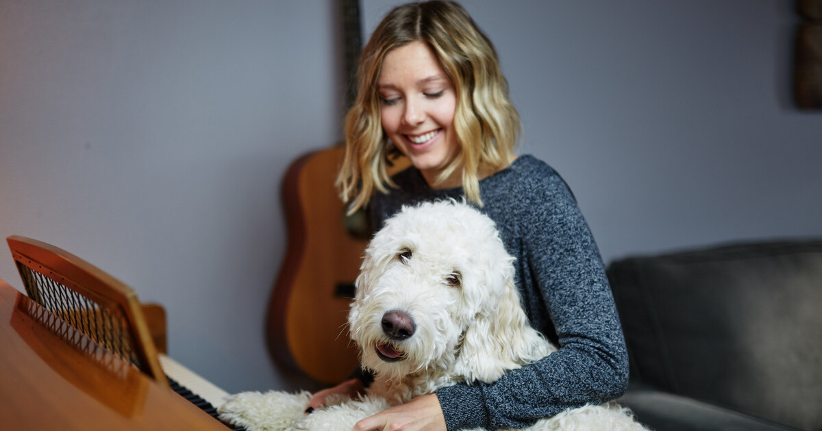 Goldendoodle's Special Piano Performance Gives Alicia Keys a Run for ...
