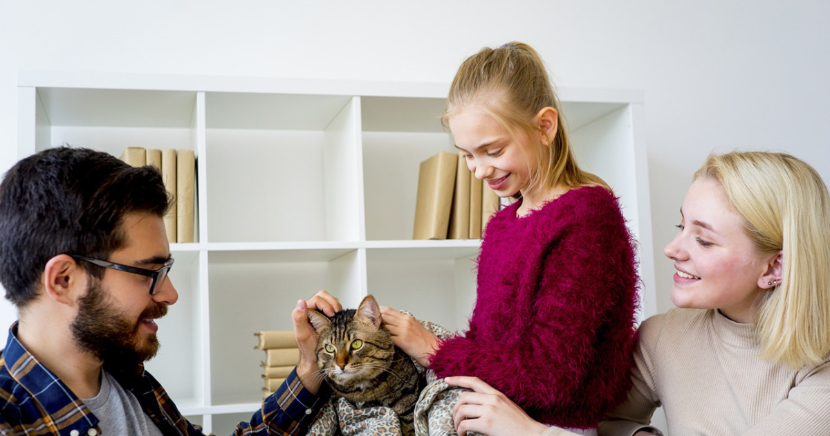 5 Best Cat Breeds for Families, According to Vets - Parade Pets