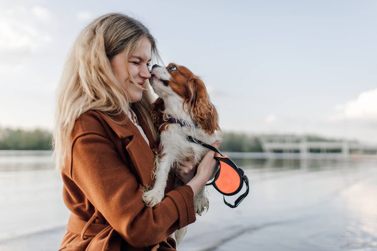 6 Dog Breeds That Are Loyal Built-In Companions, Say Vets - Parade Pets