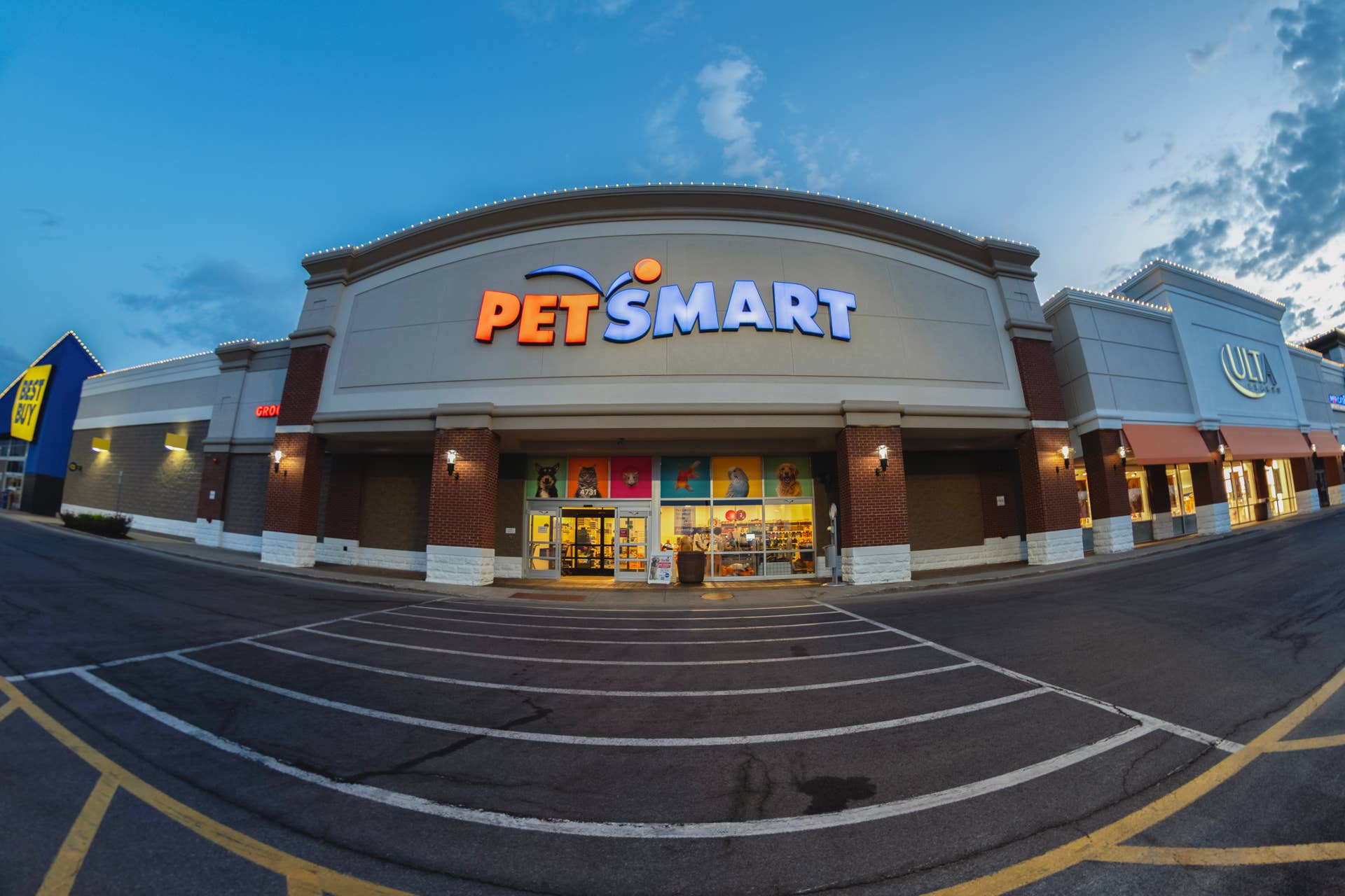 Join PetSmart for a Lovable Free Party on Valentine's Day - Parade Pets