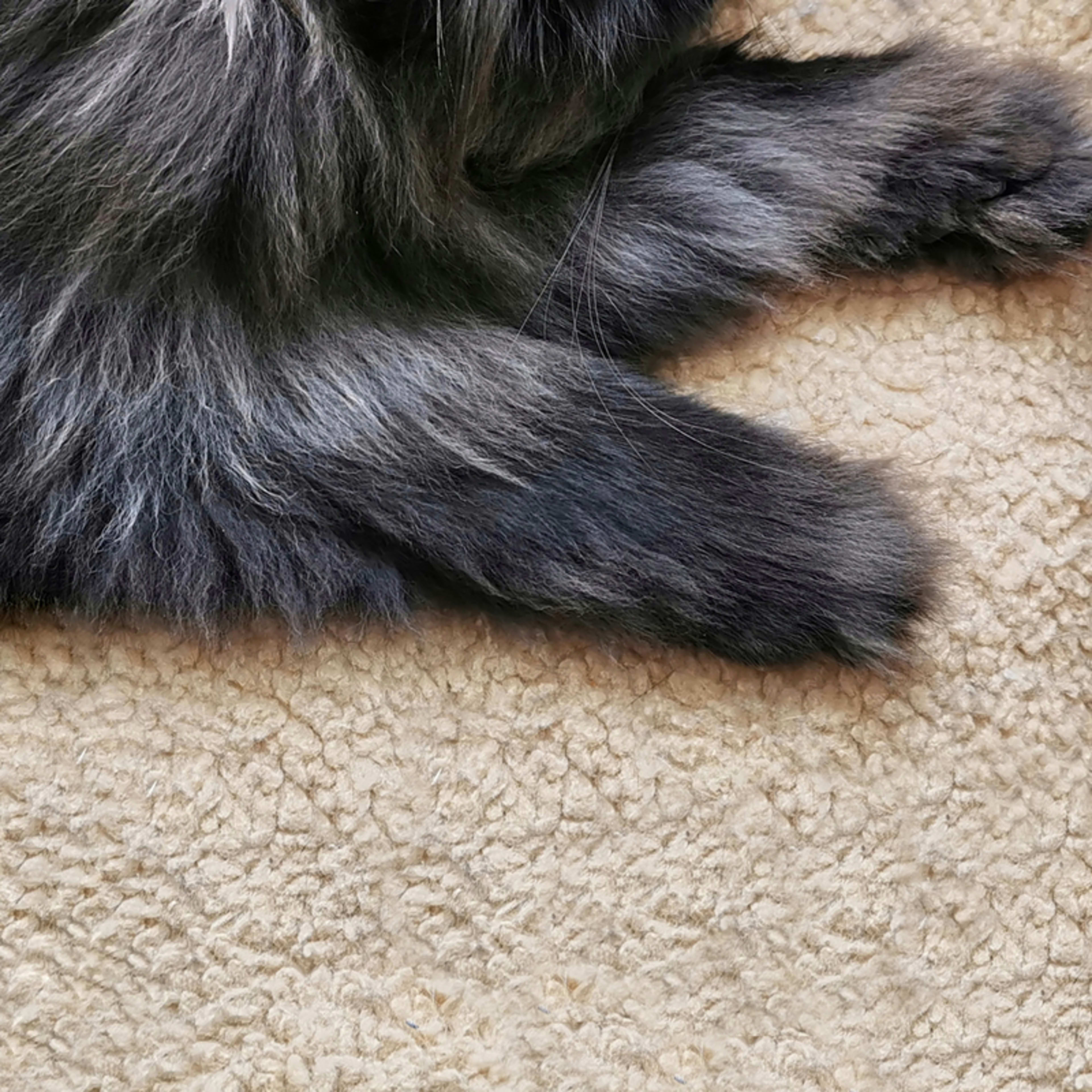 Golden Retriever Tries To Squeeze Into a Too Small Hotel Bed - Parade Pets