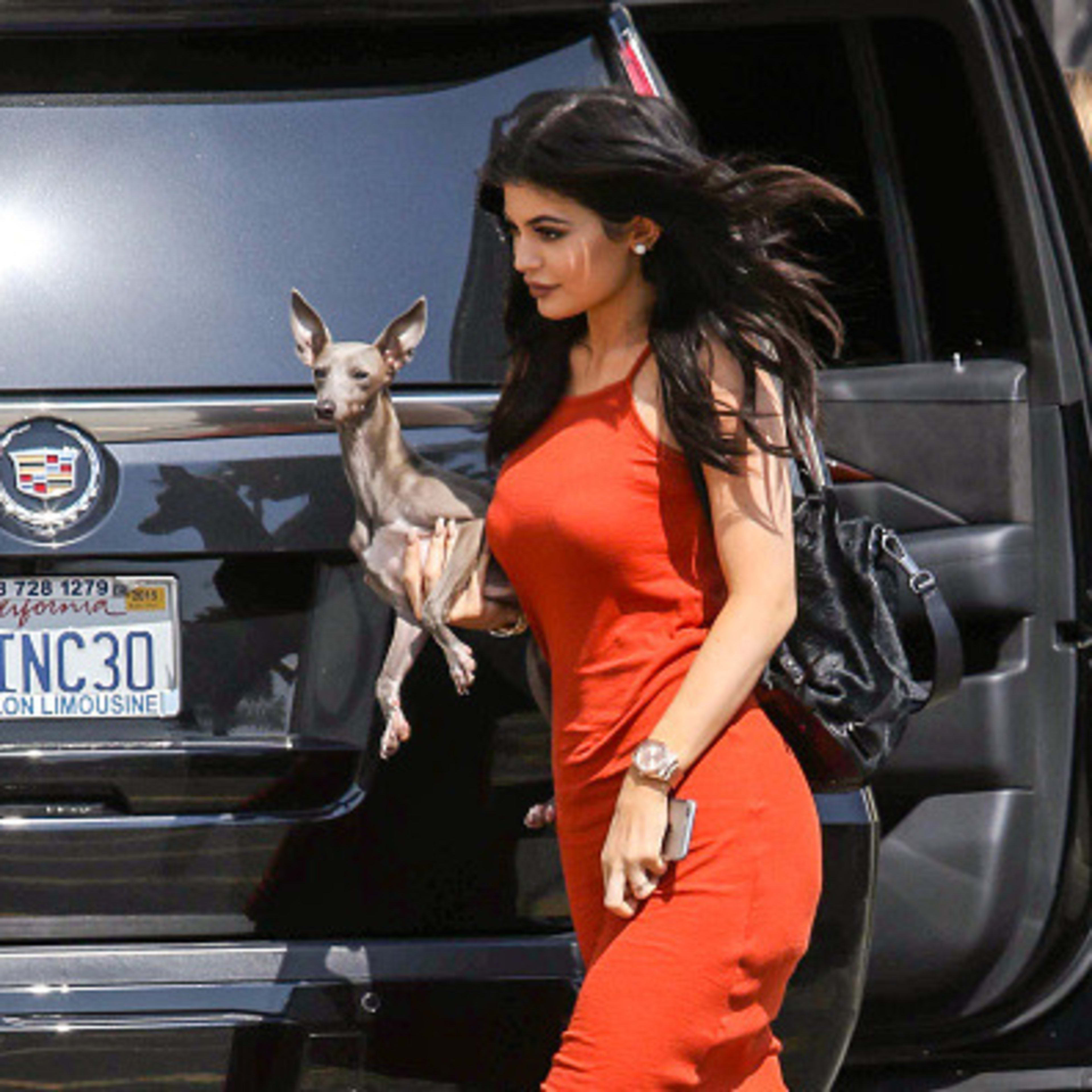 Kylie Jenner Debuts Most Adorable New Kitten After Dog, Norman, Passes ...