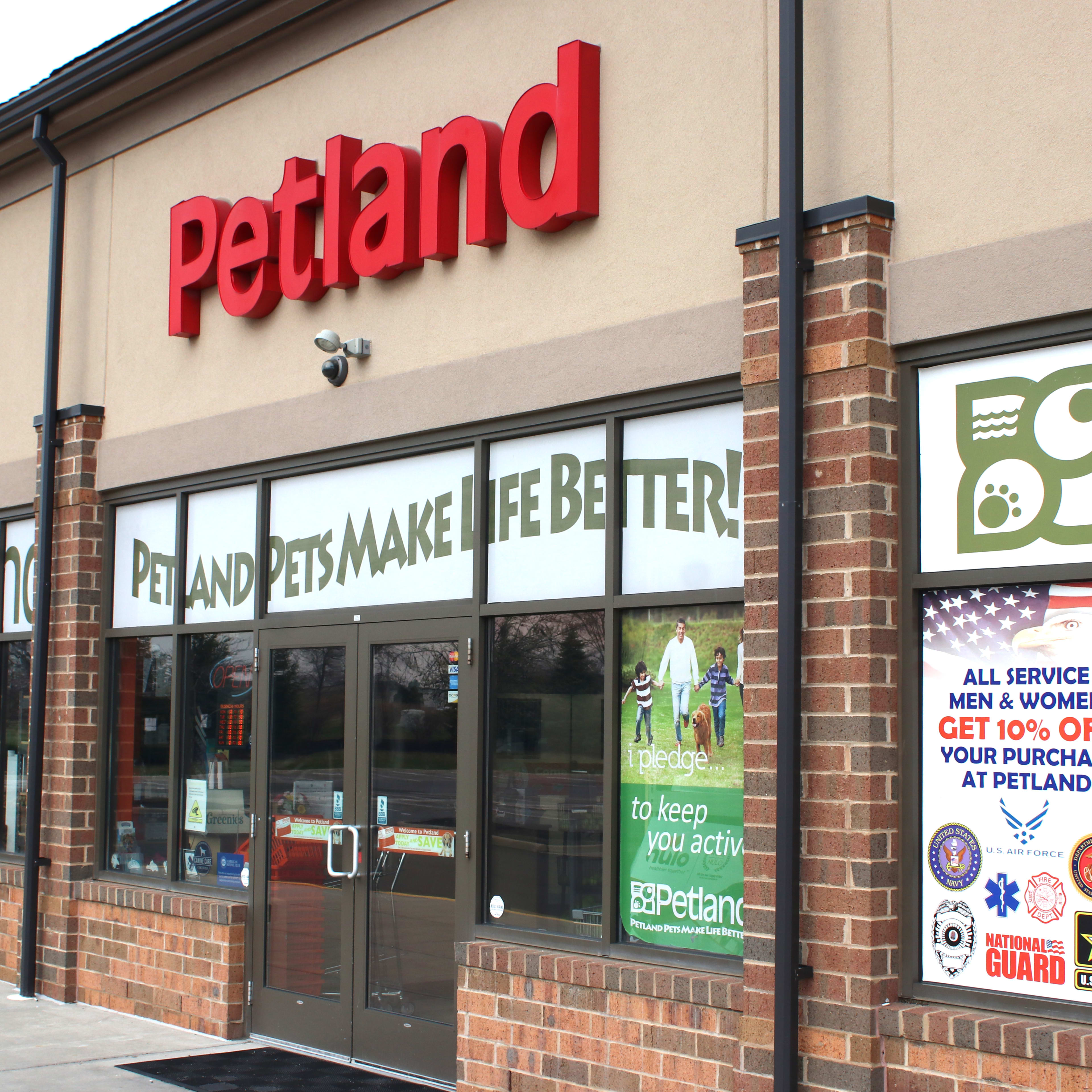 Why Do Cats Puff Up Their Fur? The Answer May Surprise You - Parade Pets