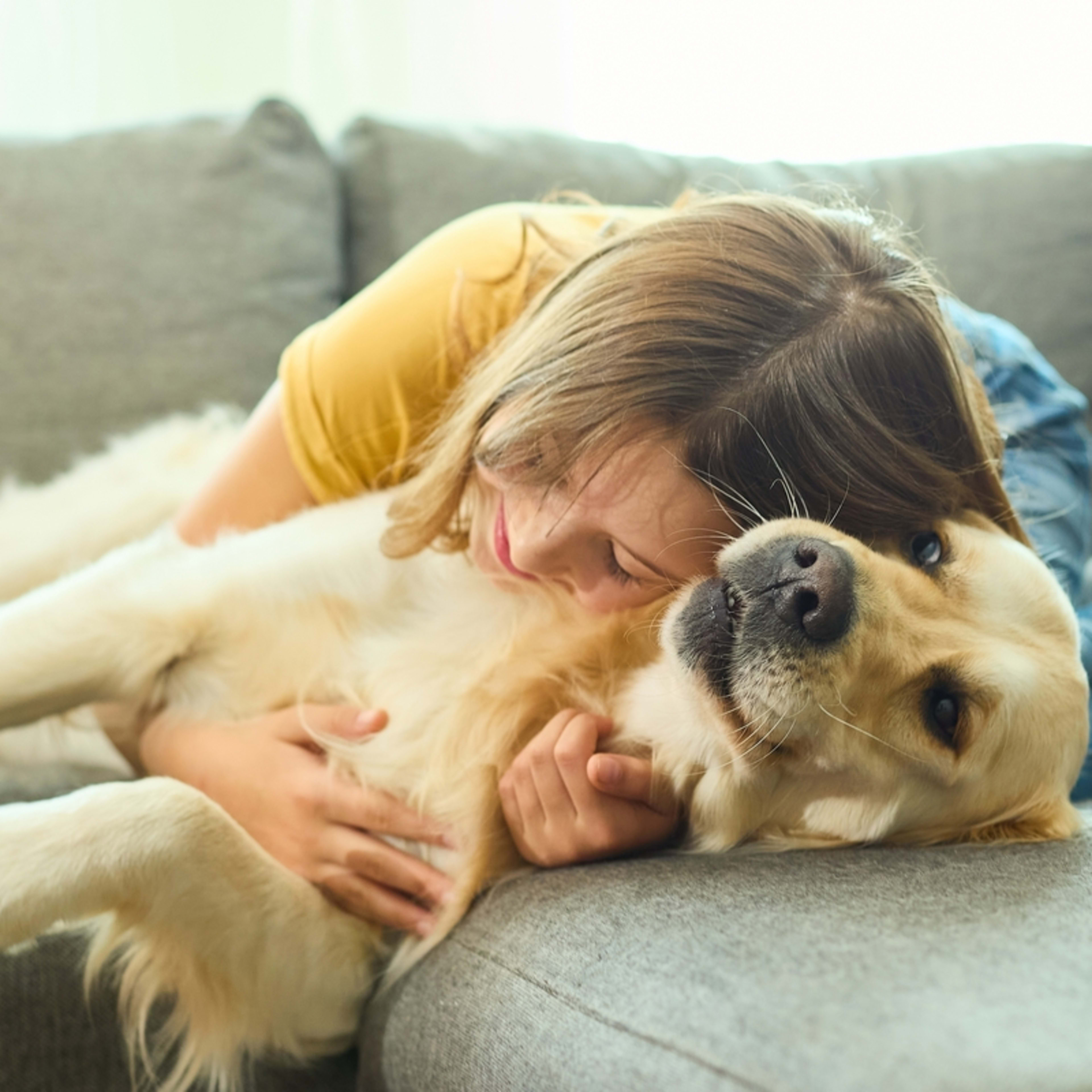 Golden Retriever Hides Stolen Toddler Snack With Impressive Wrestling ...