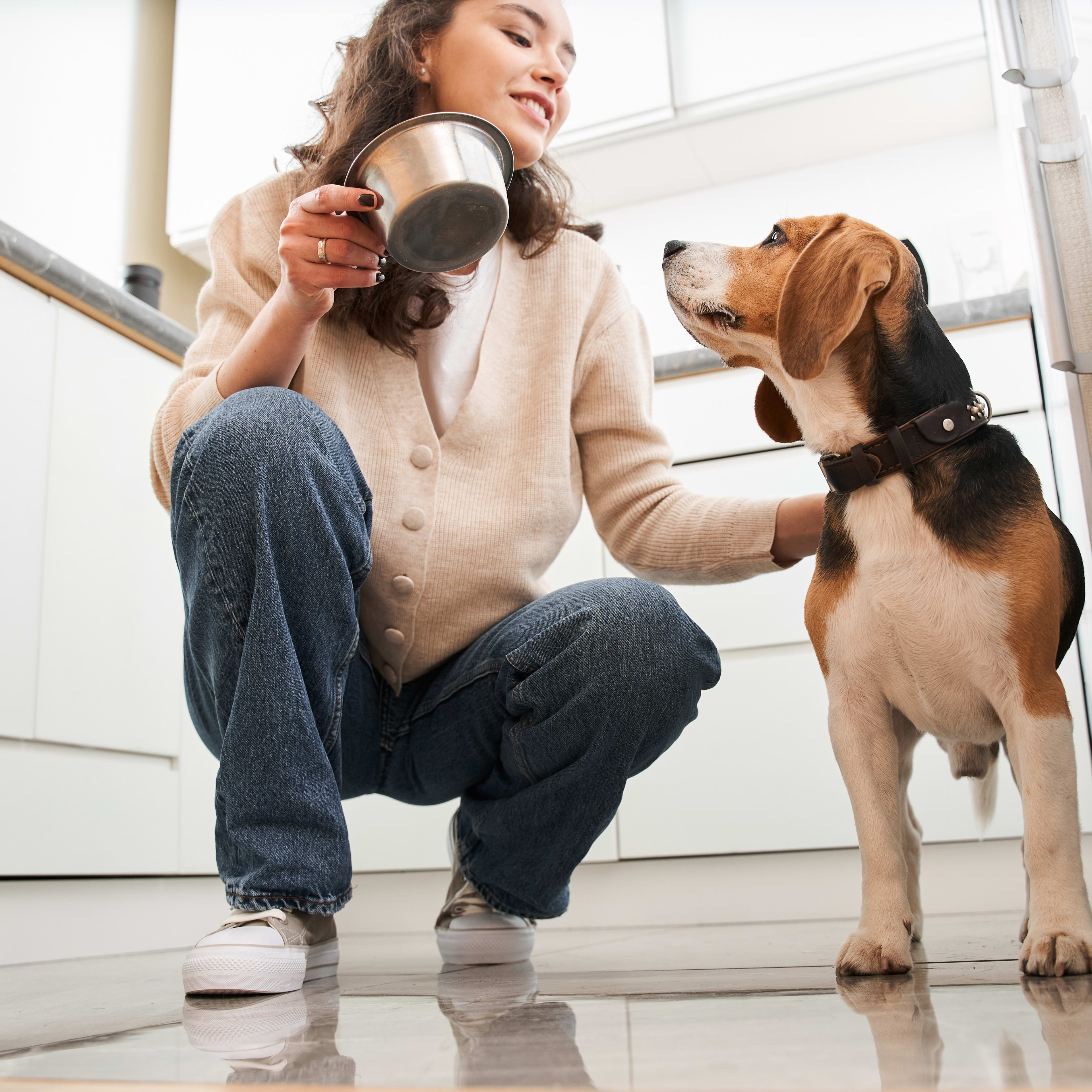 These Were the Top 10 Most Common Pet Toxins of 2025 - Parade Pets