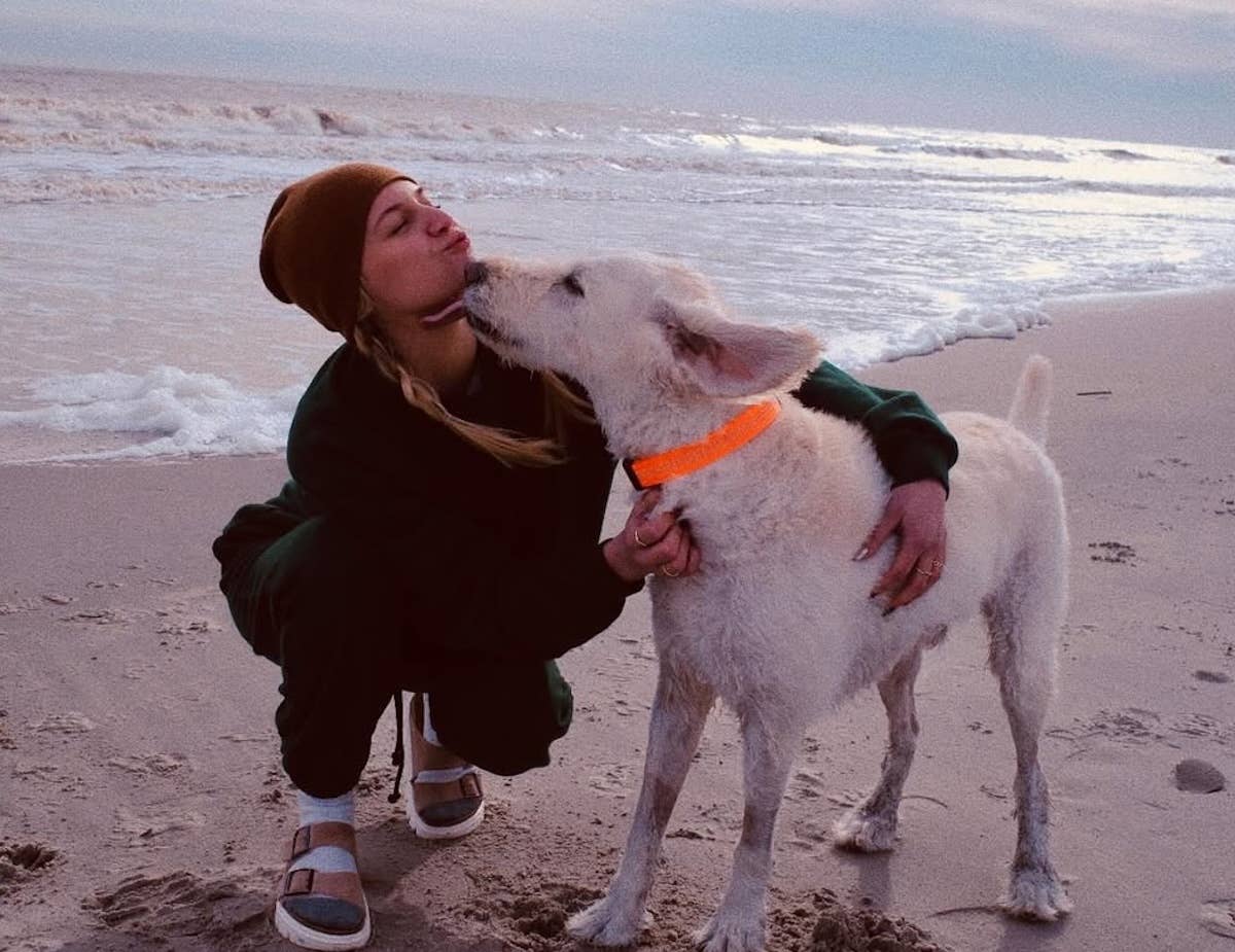 7 Big Fluffy Dog Breeds That Love to Cuddle - Parade Pets