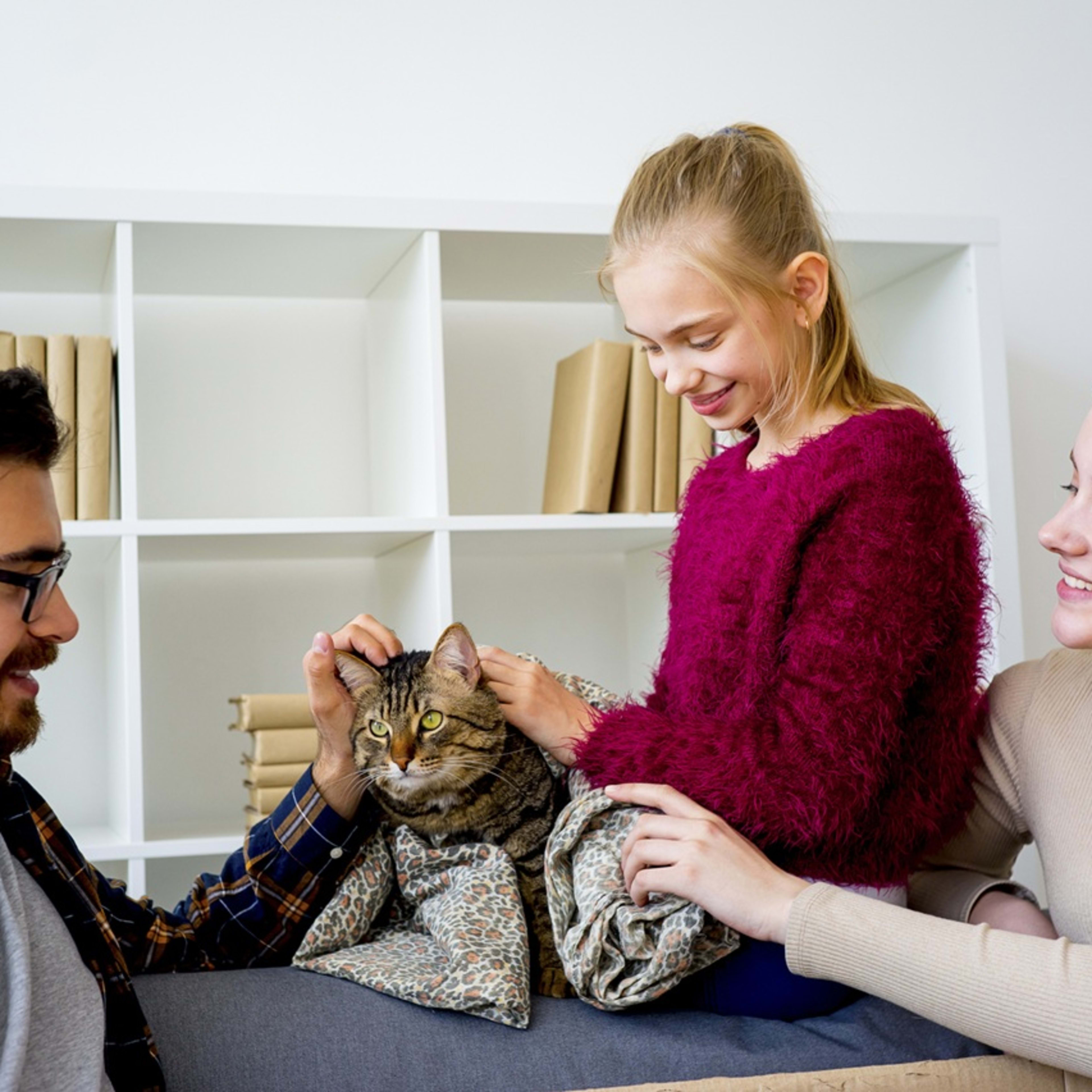 Shut-Down Cat Who Was 'Invisible' at Shelter Gets the Most Wonderful ...