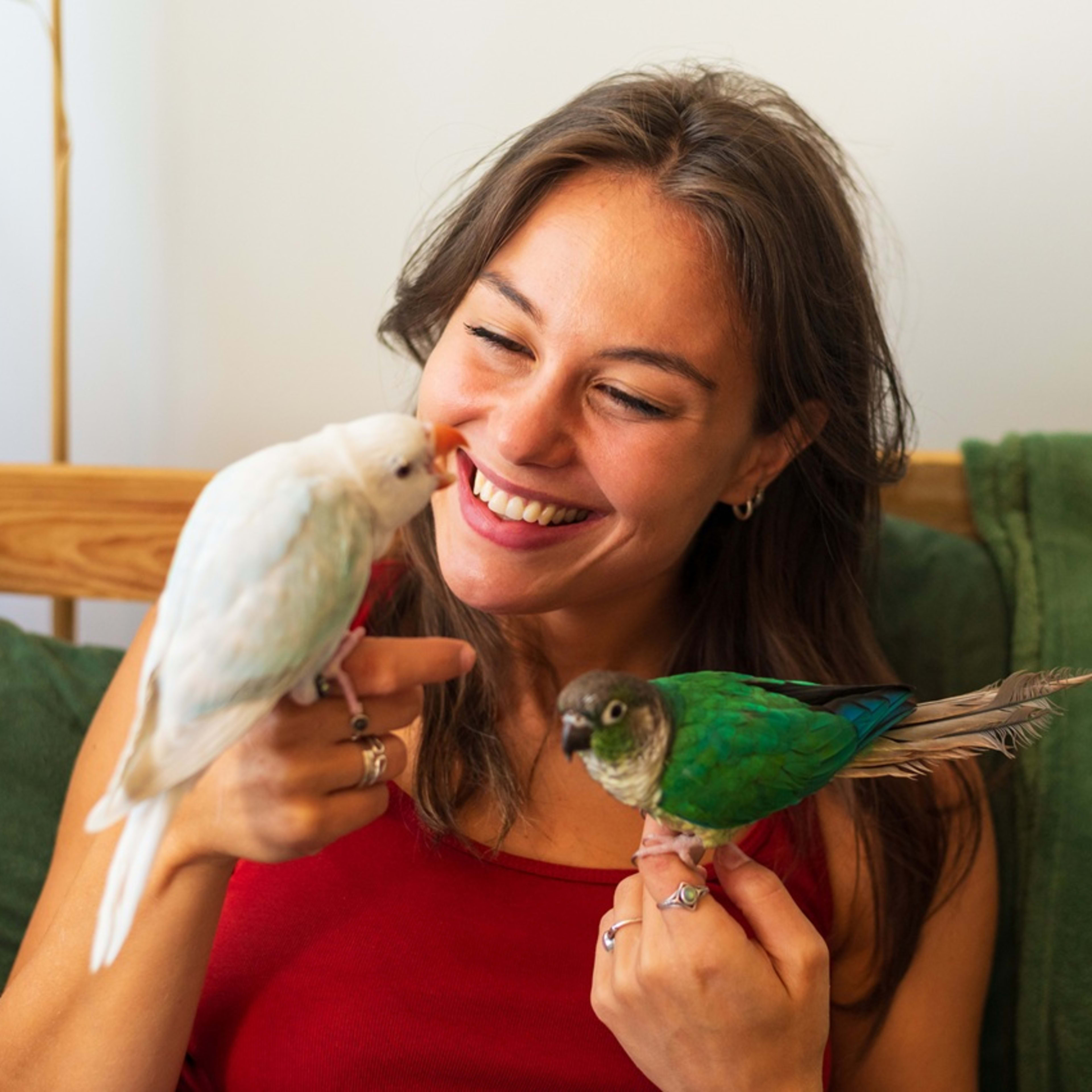 7 Smiley Dogs Breeds - Parade Pets