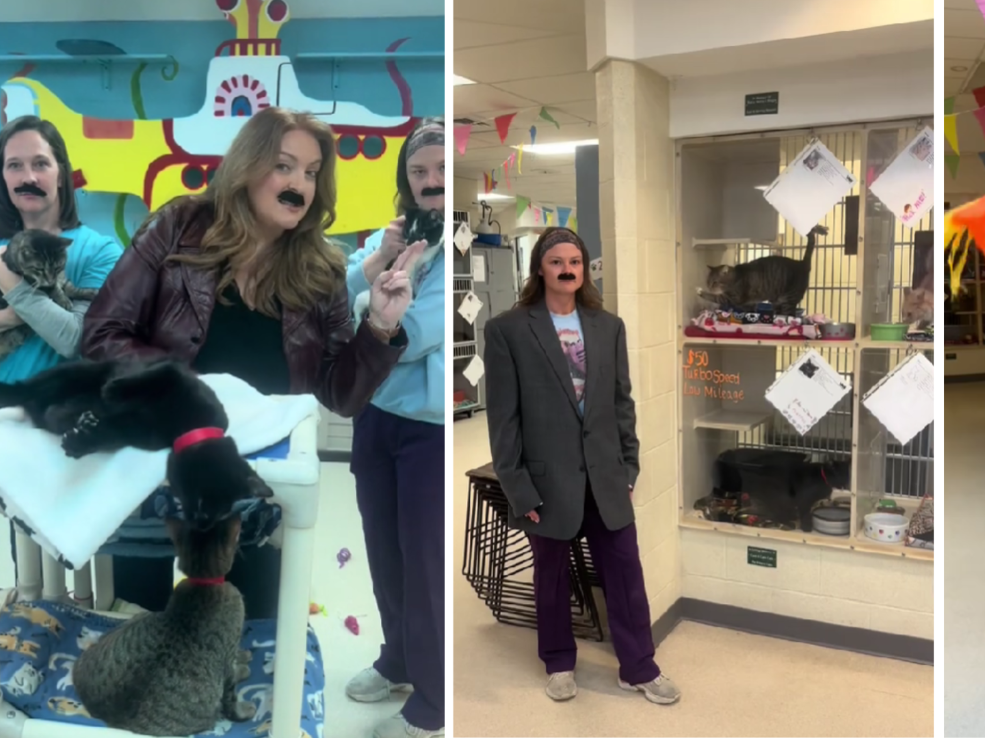 Animal Rescue - Parade Pets