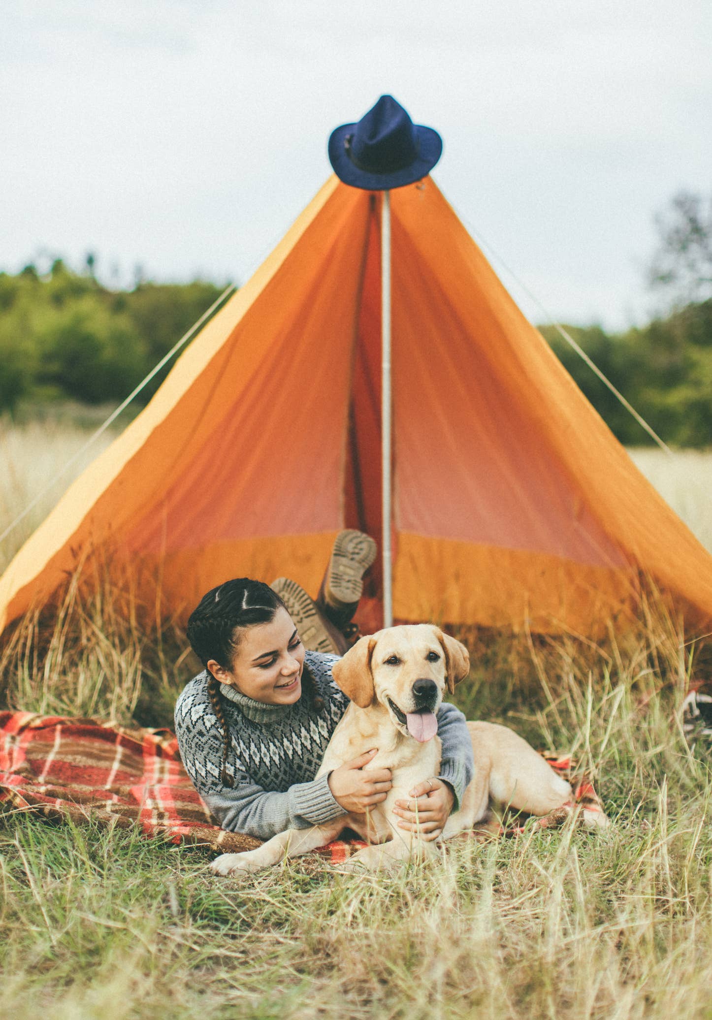 Best Camping Dogs: 7 Vet-Approved Breeds - Parade Pets