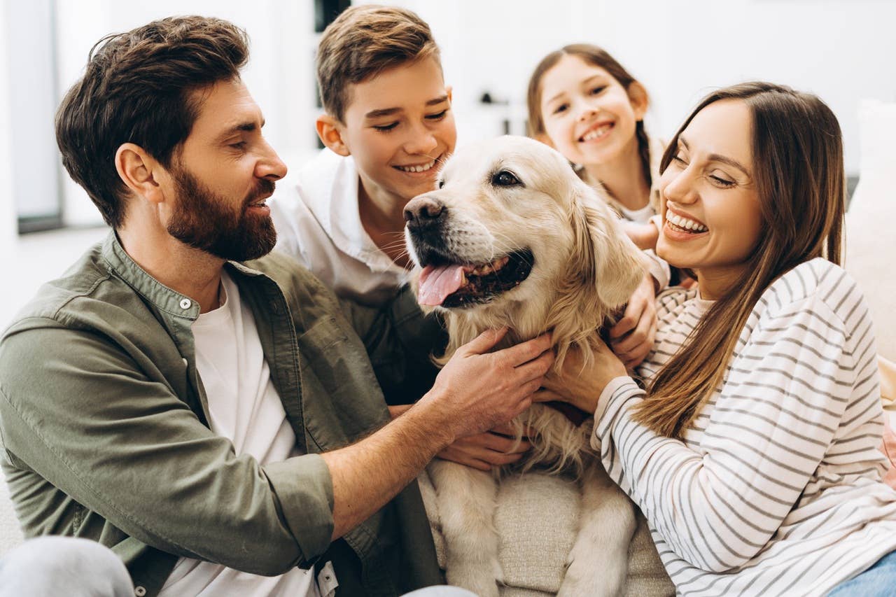 10 Adorable Signs Your Dog Is Happy, According to Experts - Parade Pets