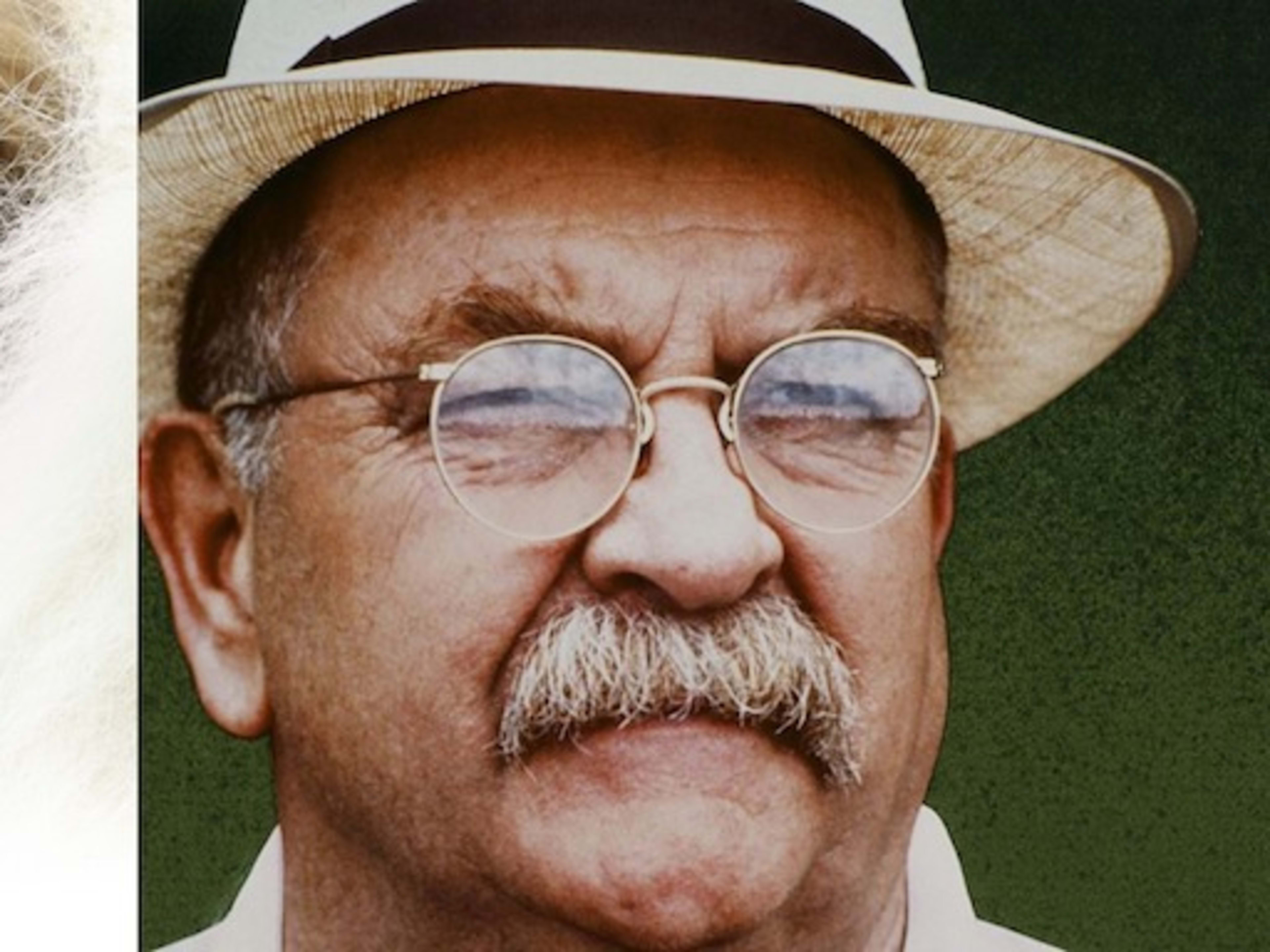 Himalayan Kitten Who Looks Exactly Like Wilford Brimley Is Taking the Internet By Storm - Parade ...