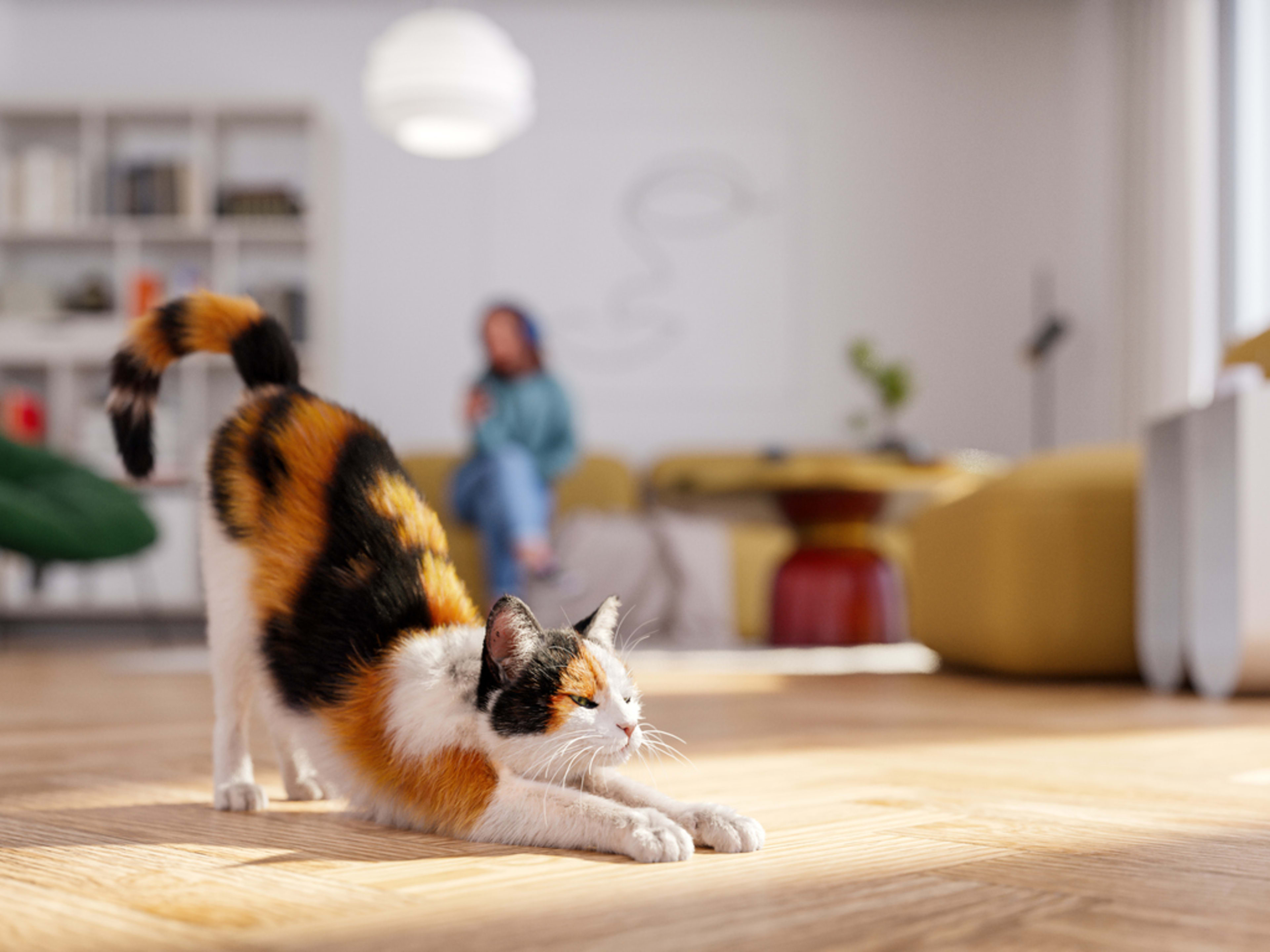 125 Calico Cat Names for Your Gorgeous Kitty