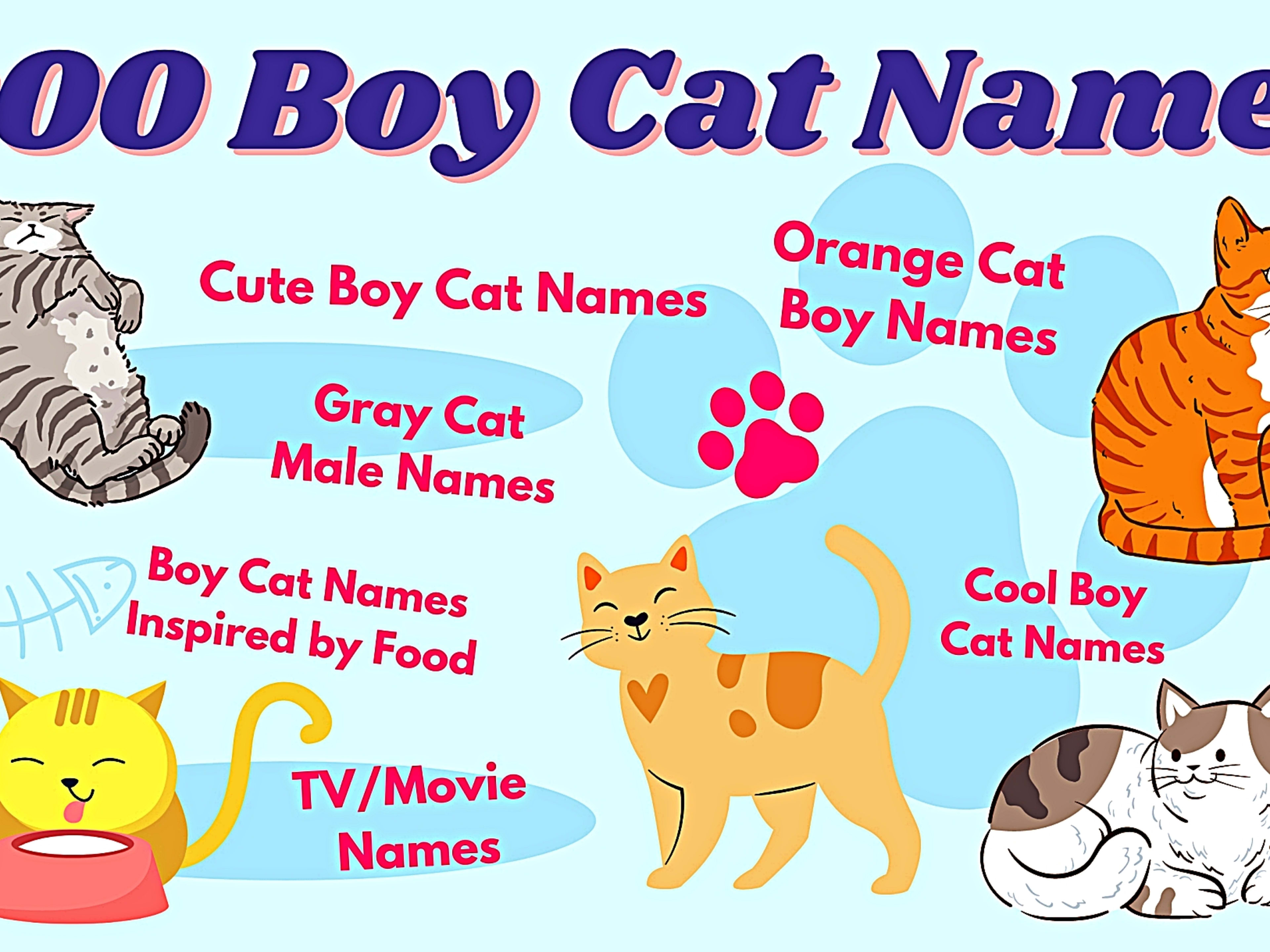 300 Best Boy Cat Names for Your Male Kitten (2024)