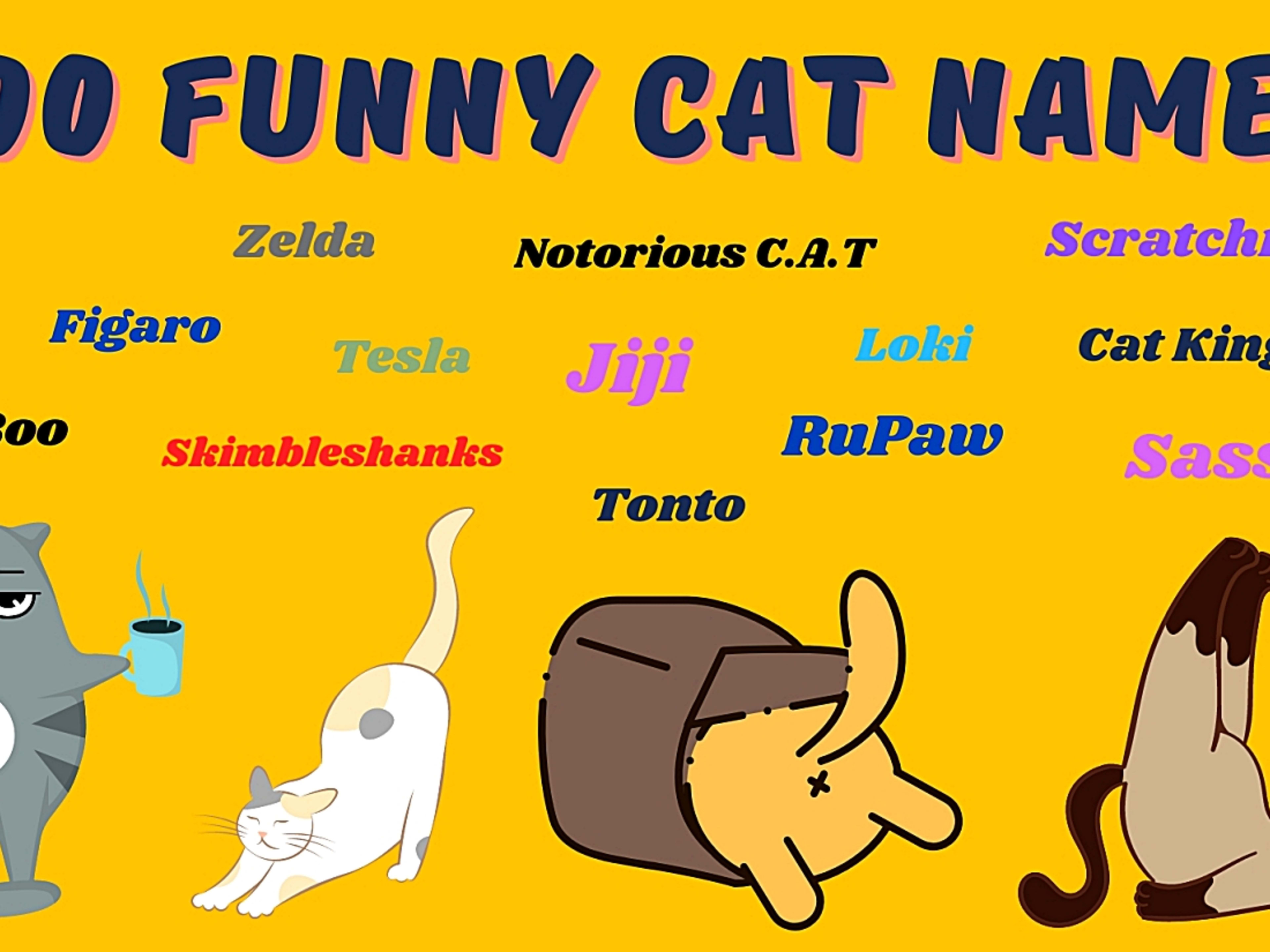 Funny Names I Have New Nick Names Bwahahaha Yeah I Know Some Are