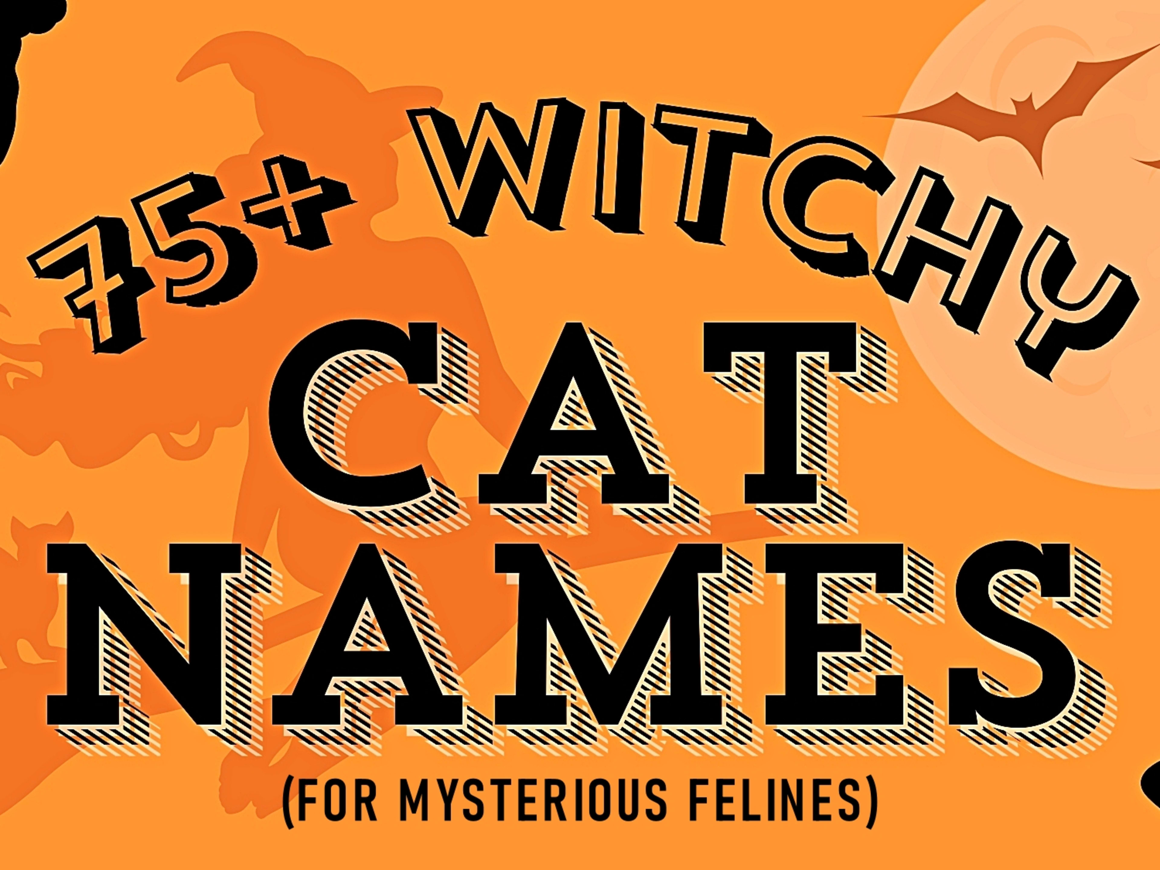 75+ Witchy Cat Names