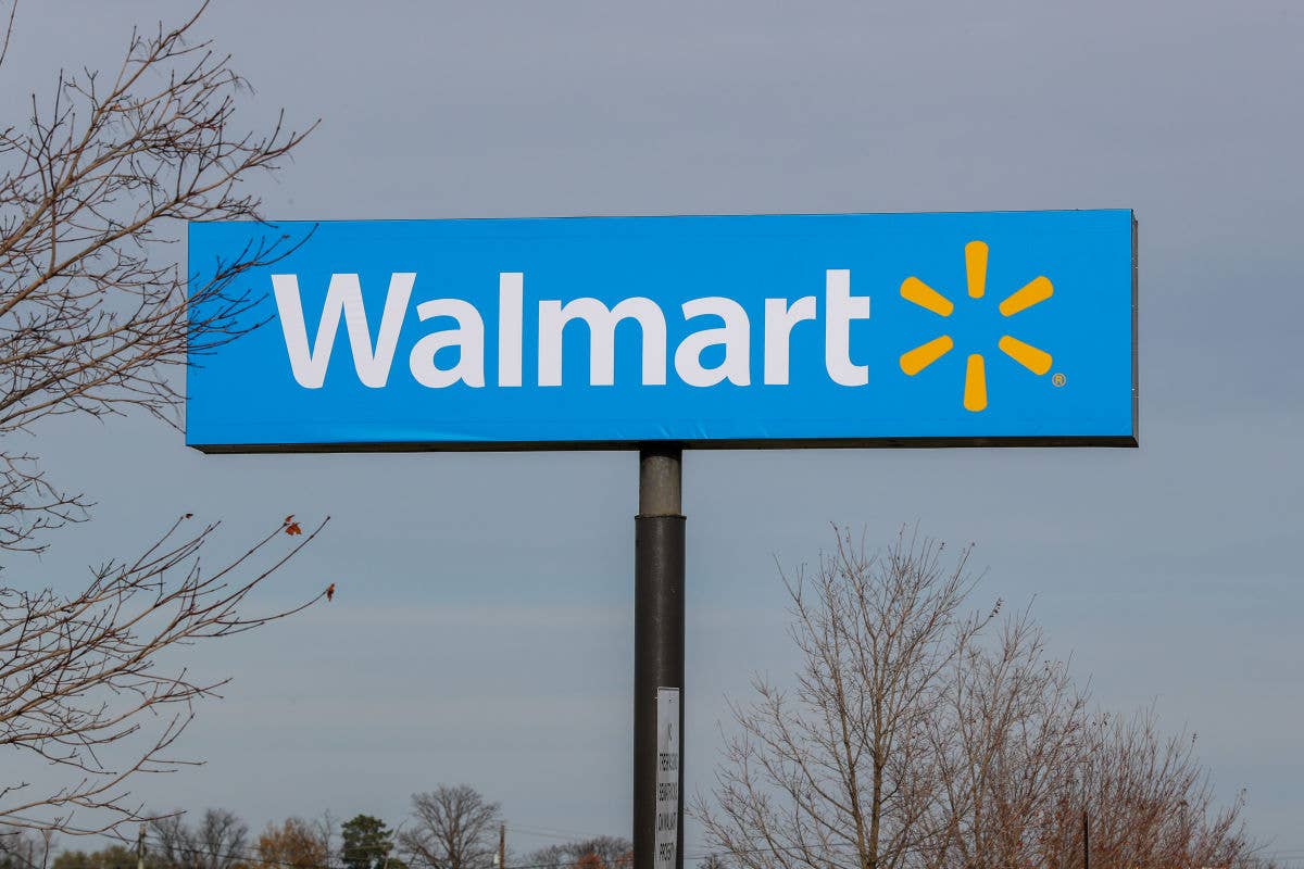 Walmart’s Zoolike Smart Pet Feeder Is a Must-Have