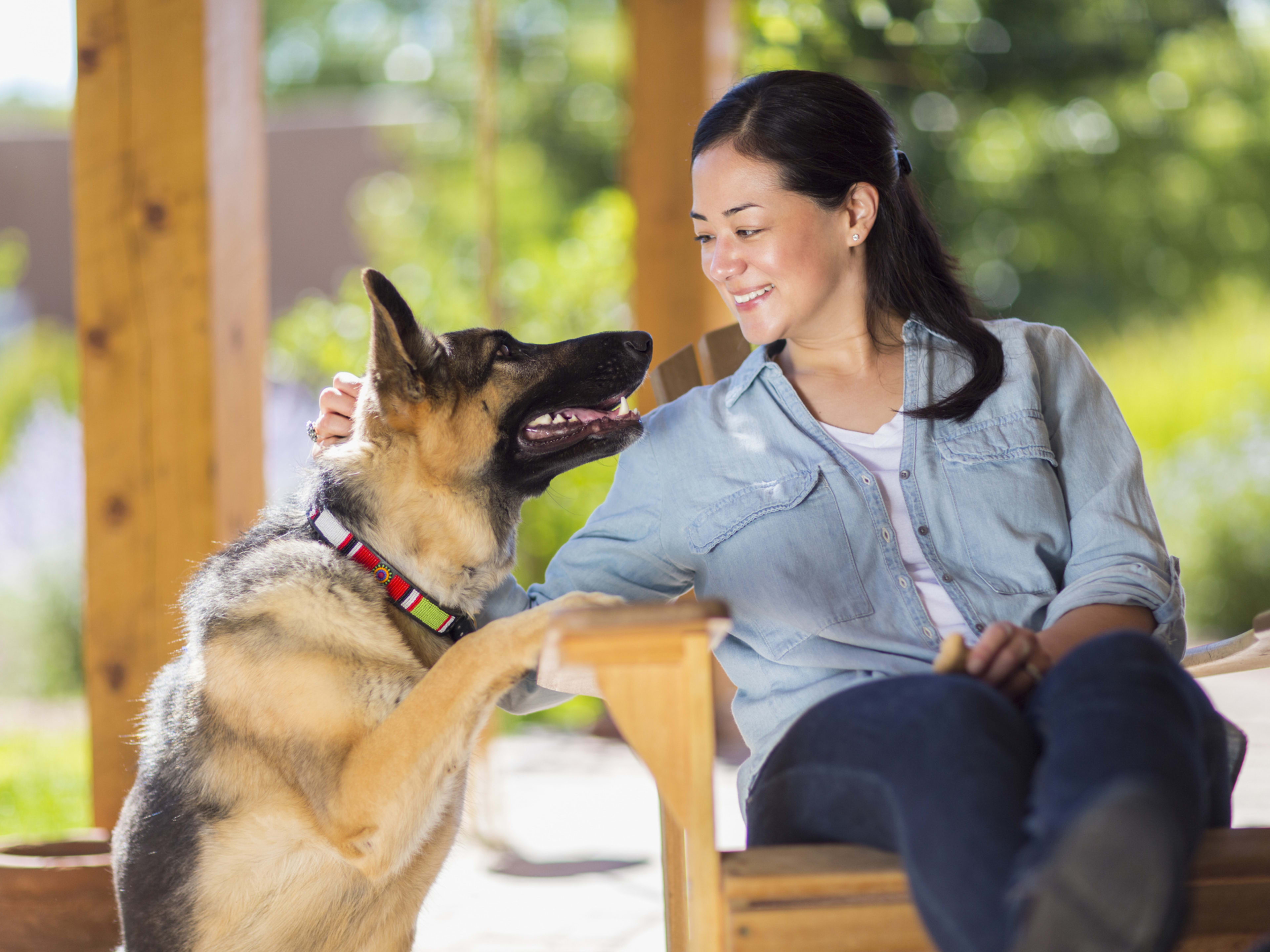 5 Best Guard Dog Breeds for Women, According to Trainers - Parade Pets